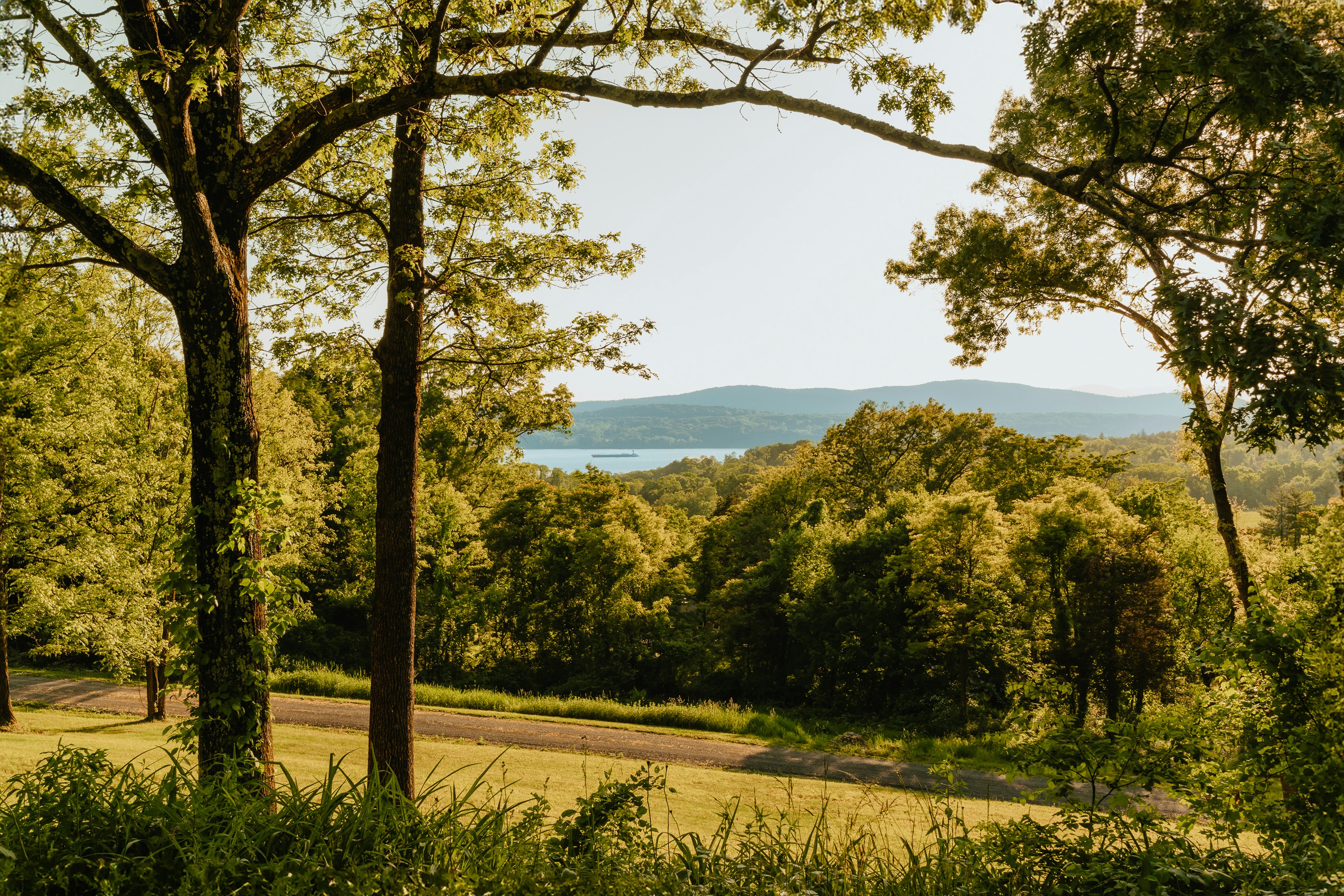 A scenic view of a wooded area with a lake in the distance photo – Free ...