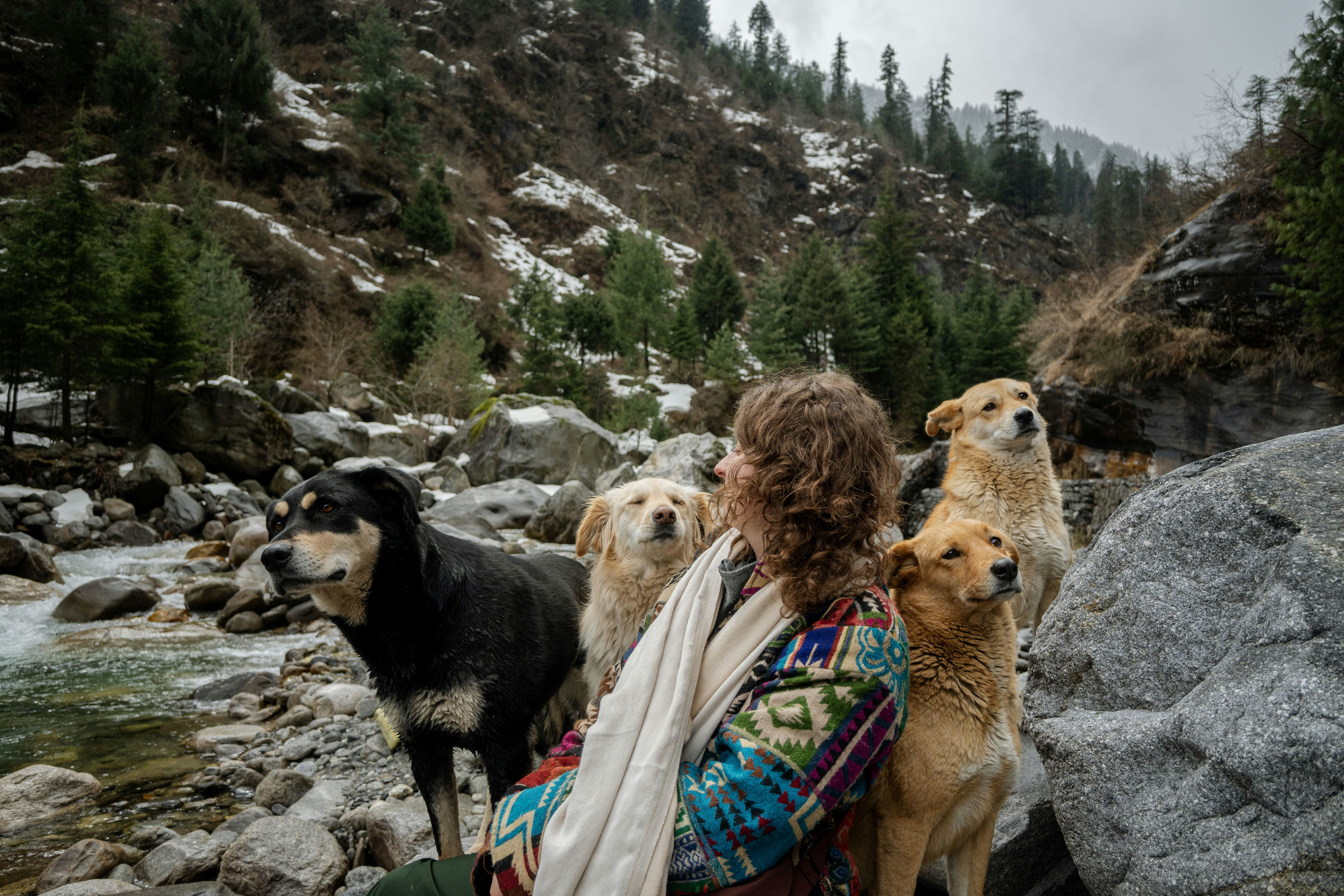 Riverbank Companions: A Woman with Five Dogs Amid Pines and Granite