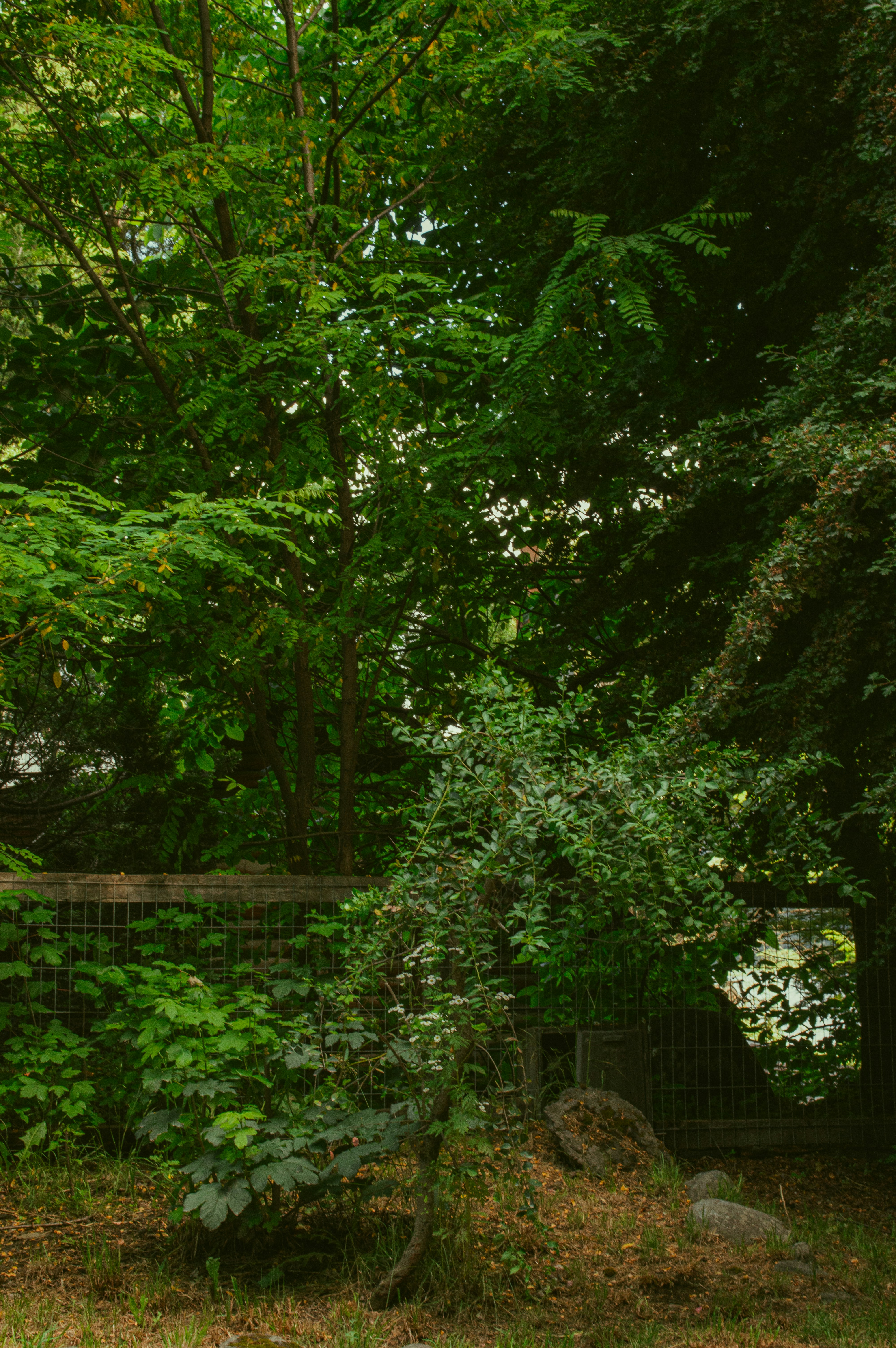 Photo by Dámaris Azócar with Nikon D3200