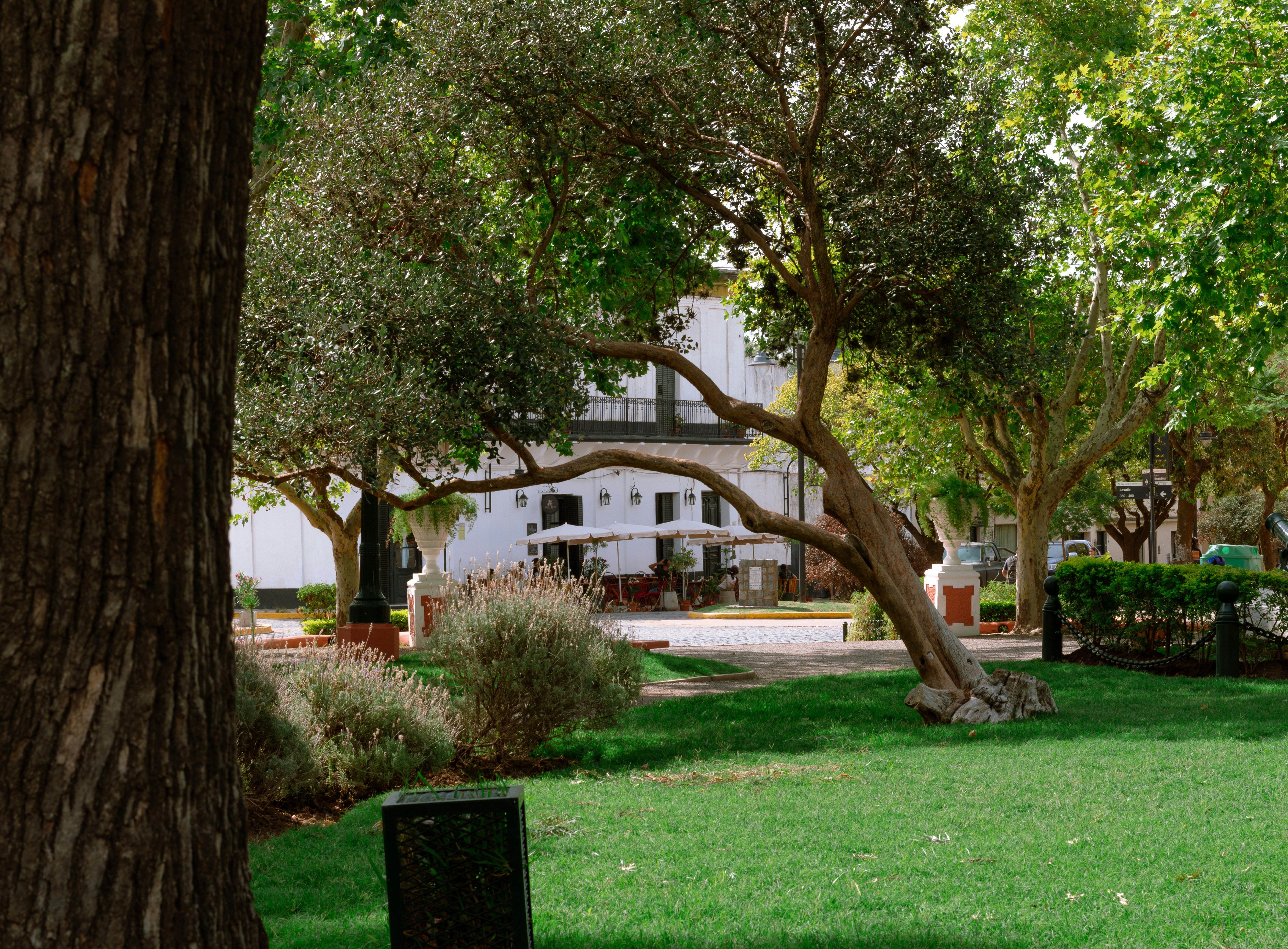 a park area with a bench, trees, and a building in the background