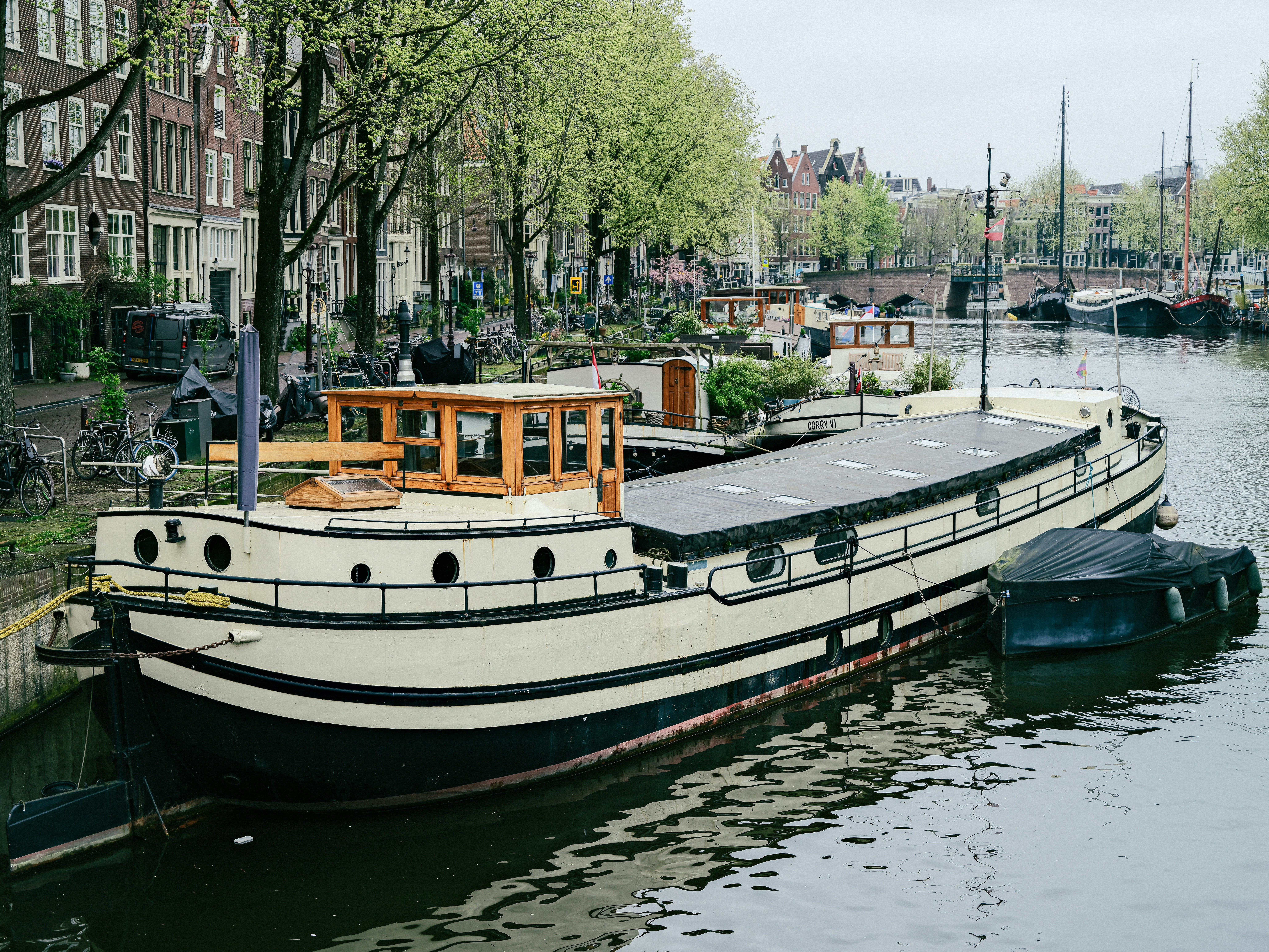 In Springtime in Amsterdam, a row of houseboats enjoy the surroundings with fresh green leaves.