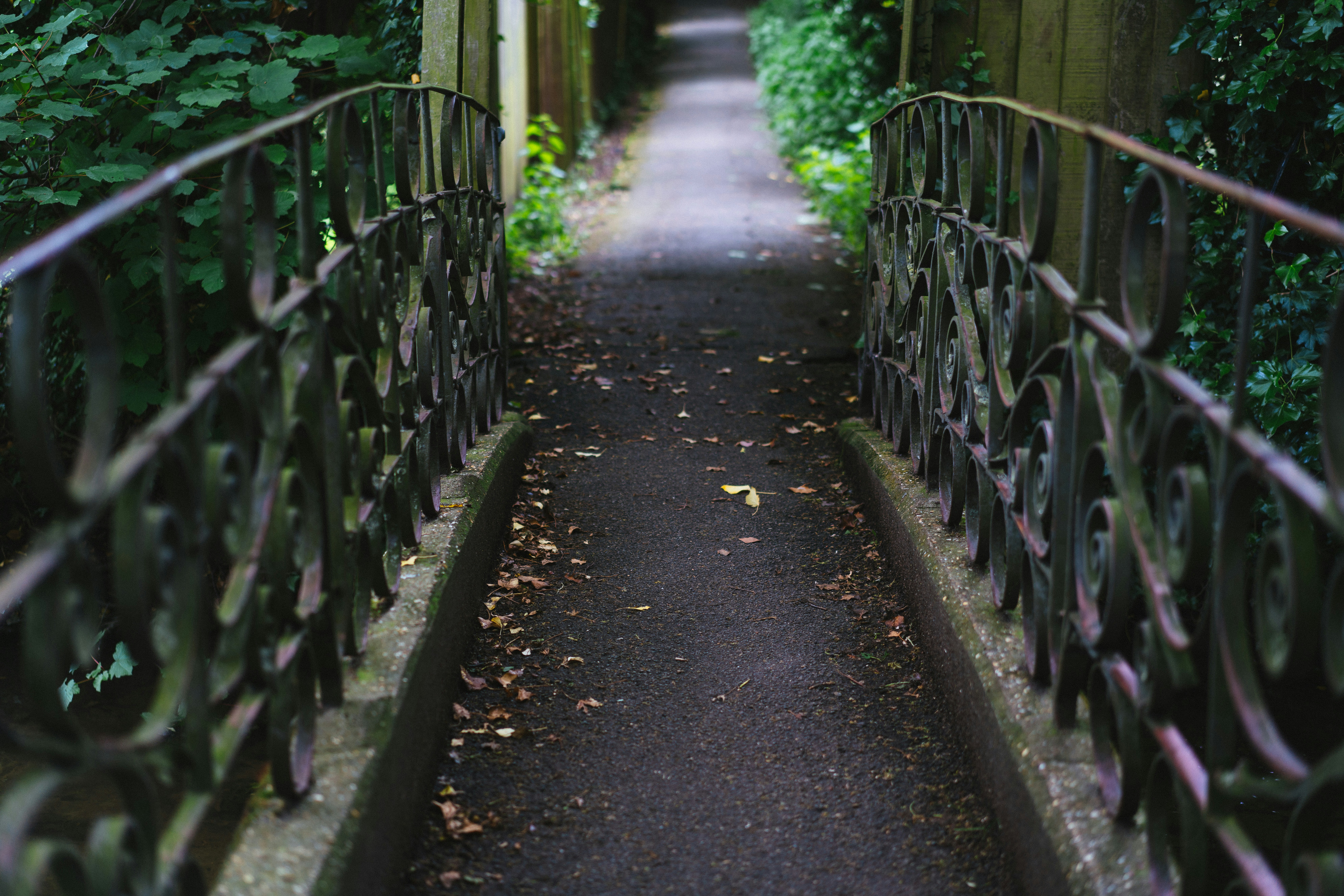 A long narrow path with a metal railing photo – Free Path Image on Unsplash