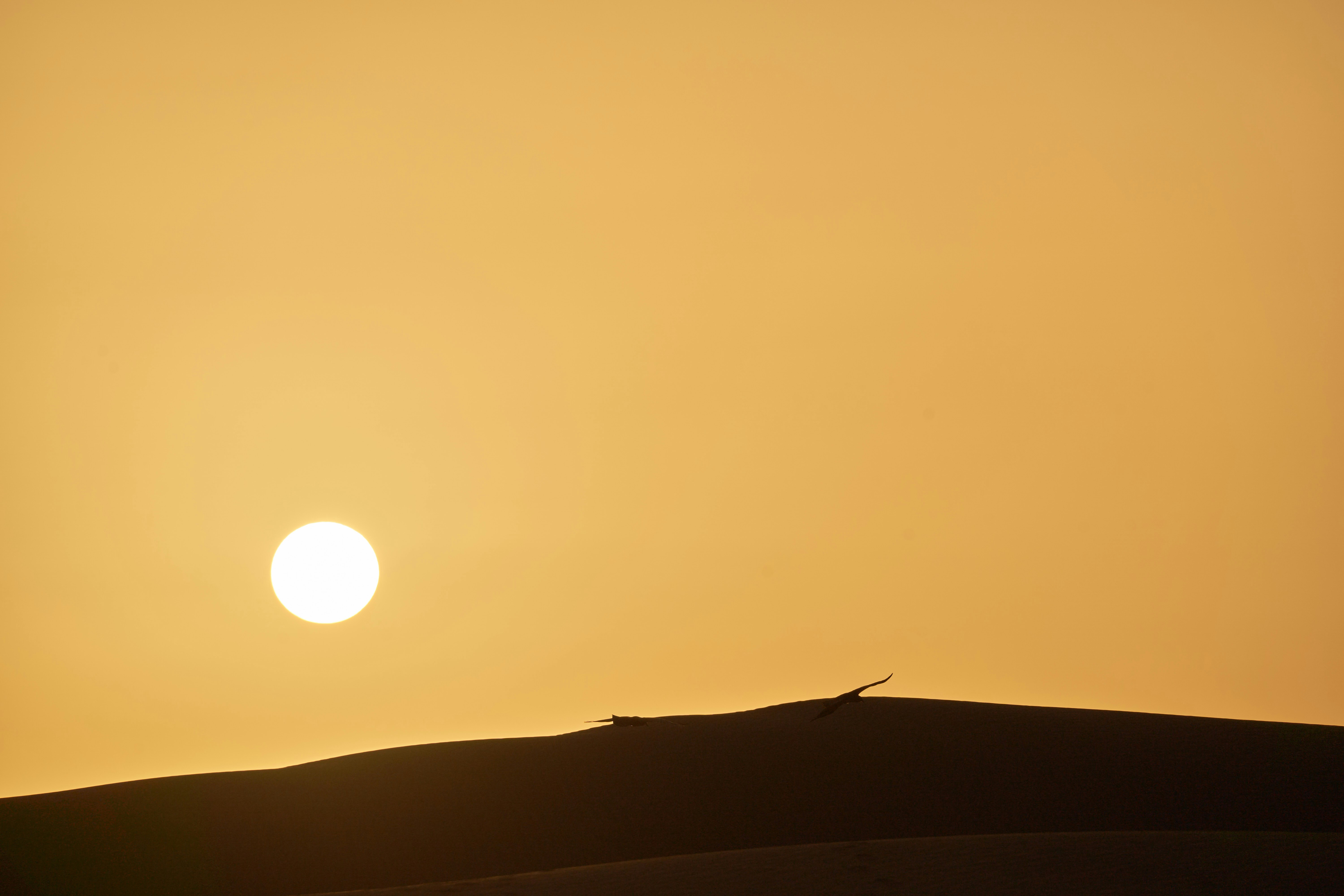 The sun is setting in the distance over the desert photo – Free Nature ...