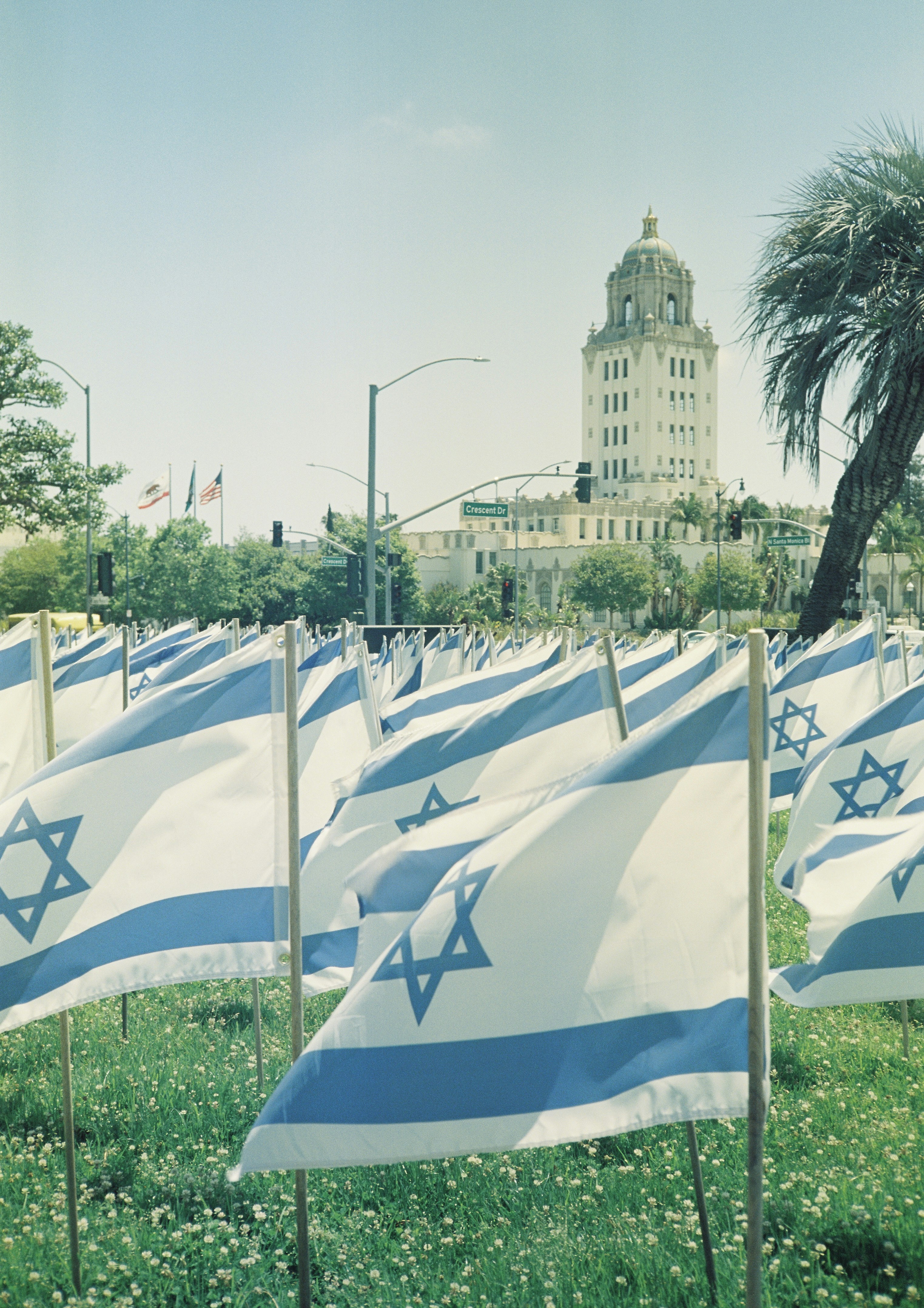 A bunch of flags that are in the grass photo – Free Beverly hills Image ...