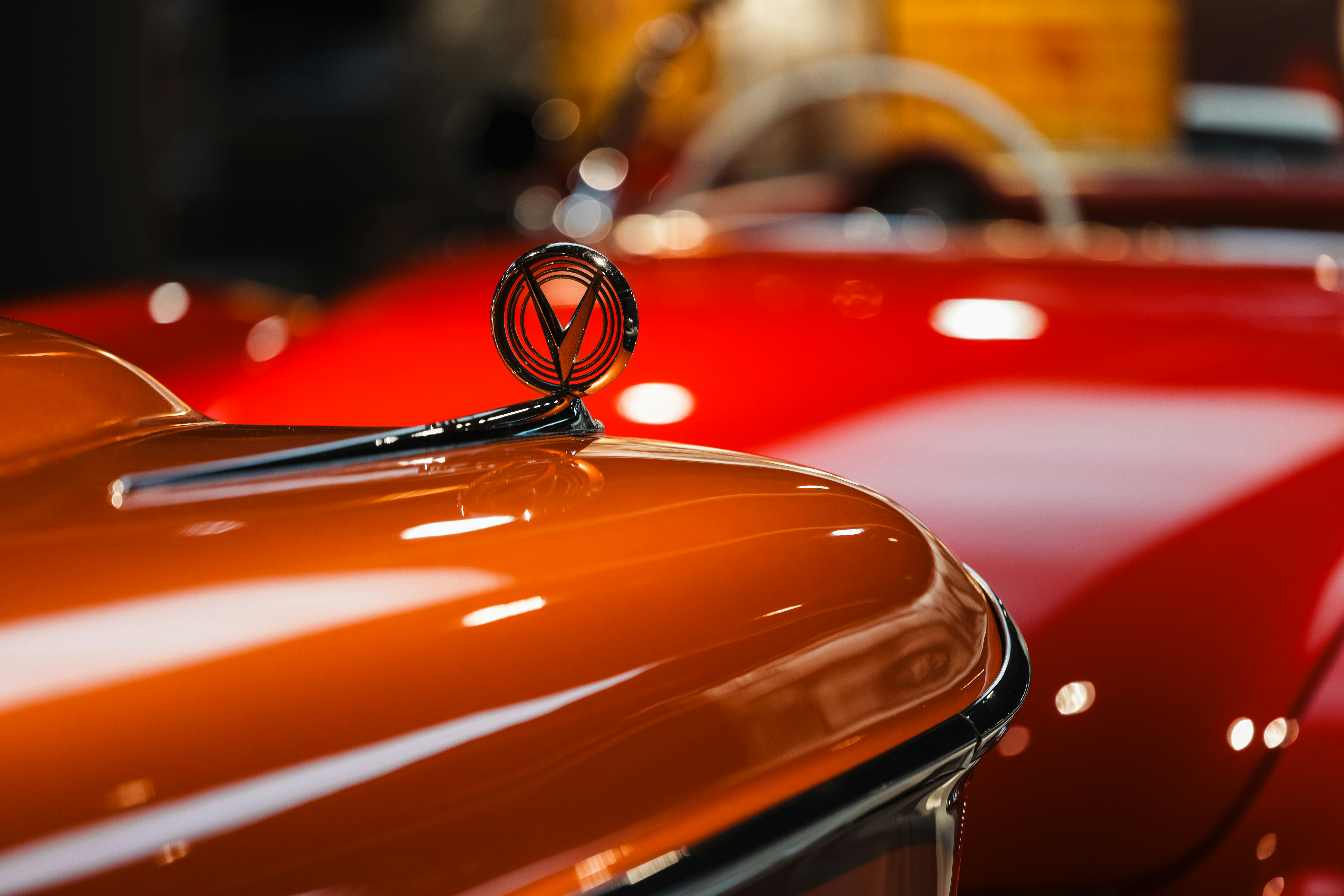 Photo by Li Zhang with Canon EOS R5