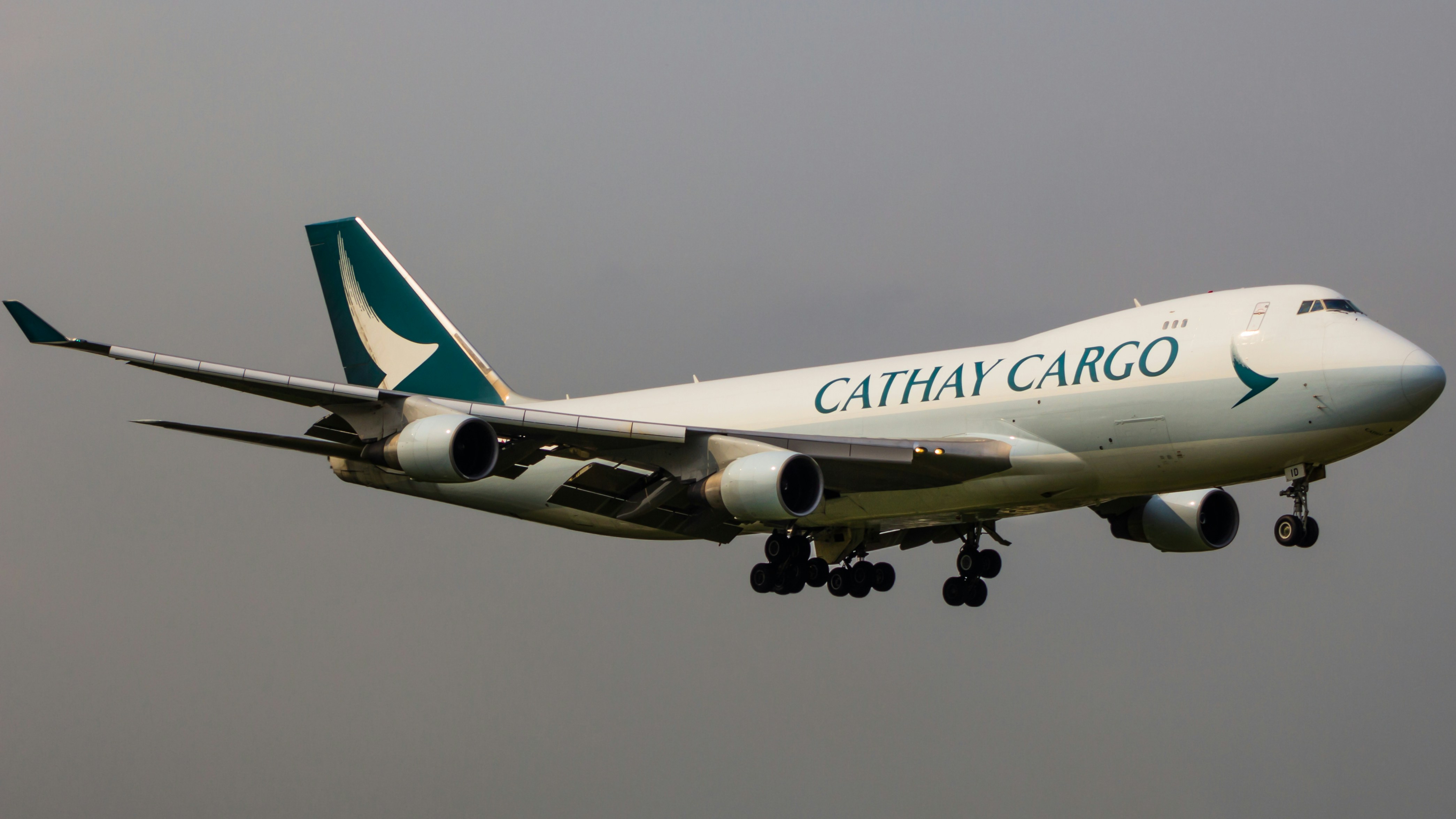 A large jetliner flying through a gray sky photo – Free Aircraft Image ...