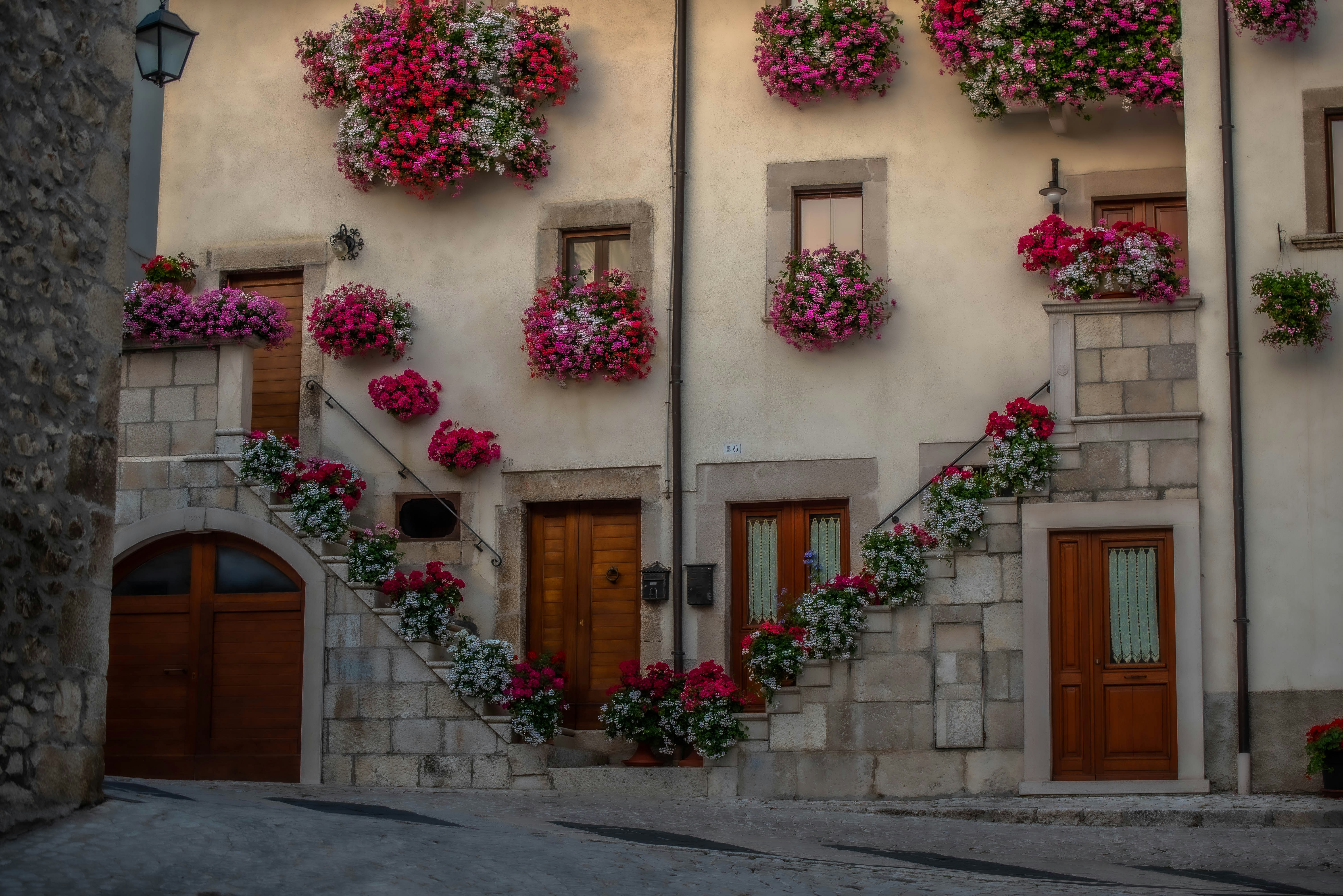 Symmetry in Bloom: Staircases and Geraniums Framing a Sunlit Facade