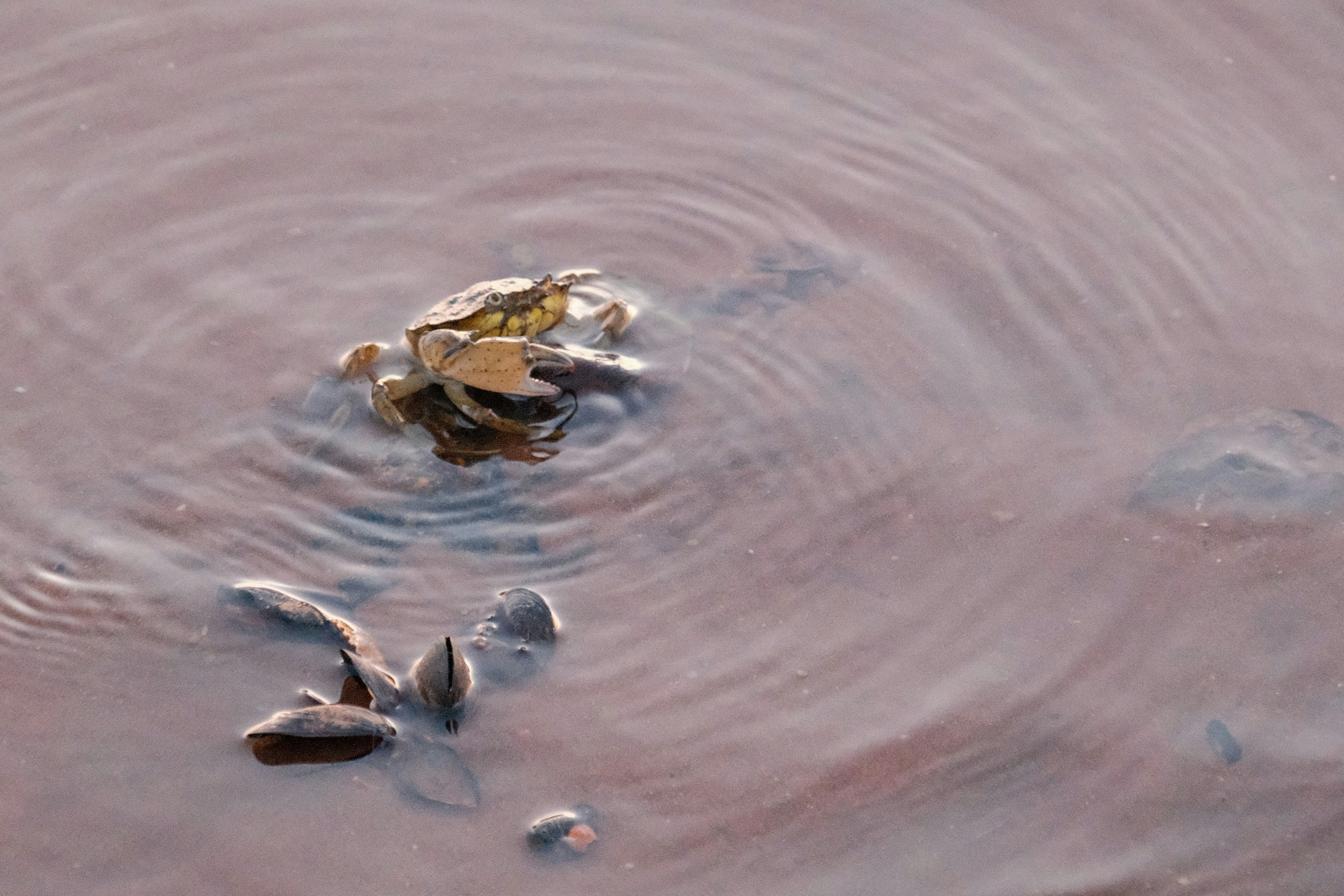 Photo by Robert Katzki with Fujifilm X-T30 II