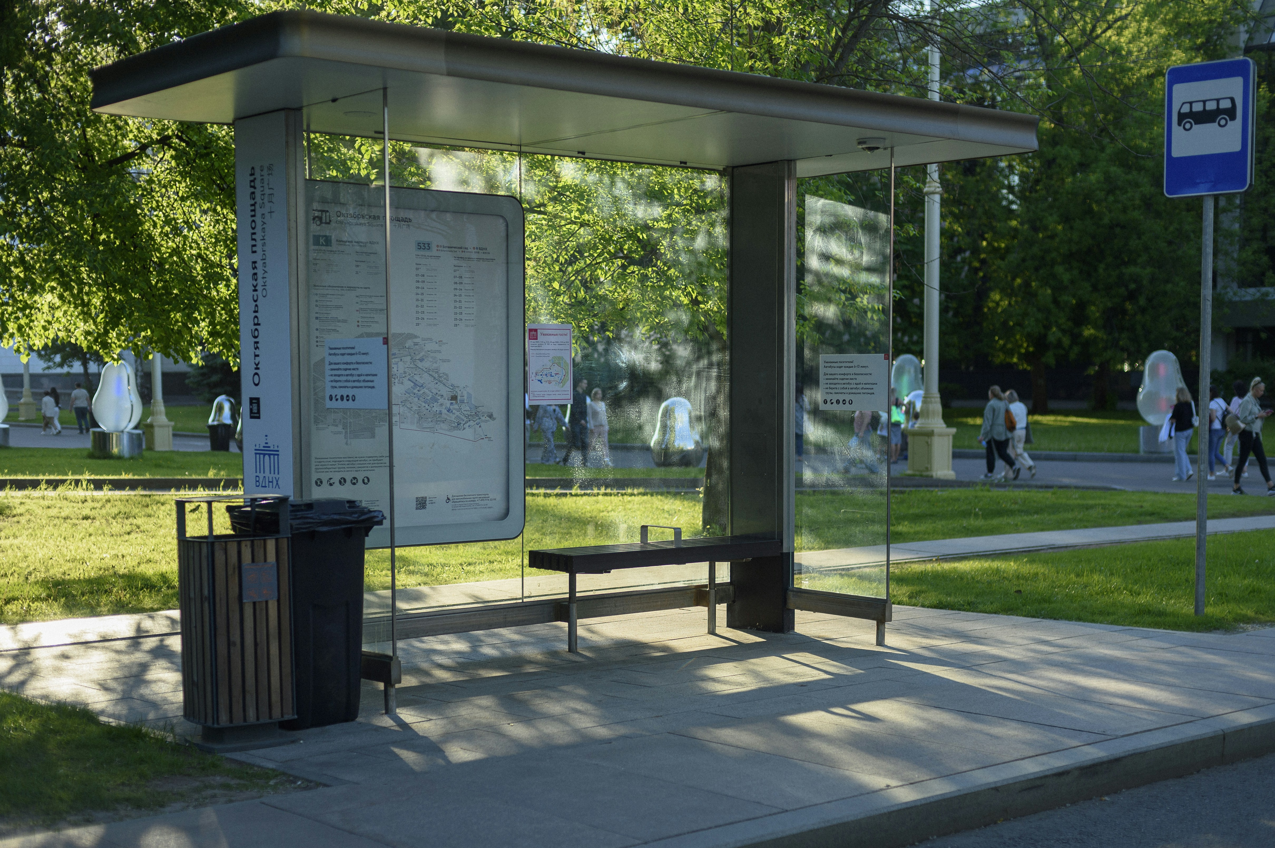 Sunlit Glass-Front Bus Shelter Framed by Park Shadows