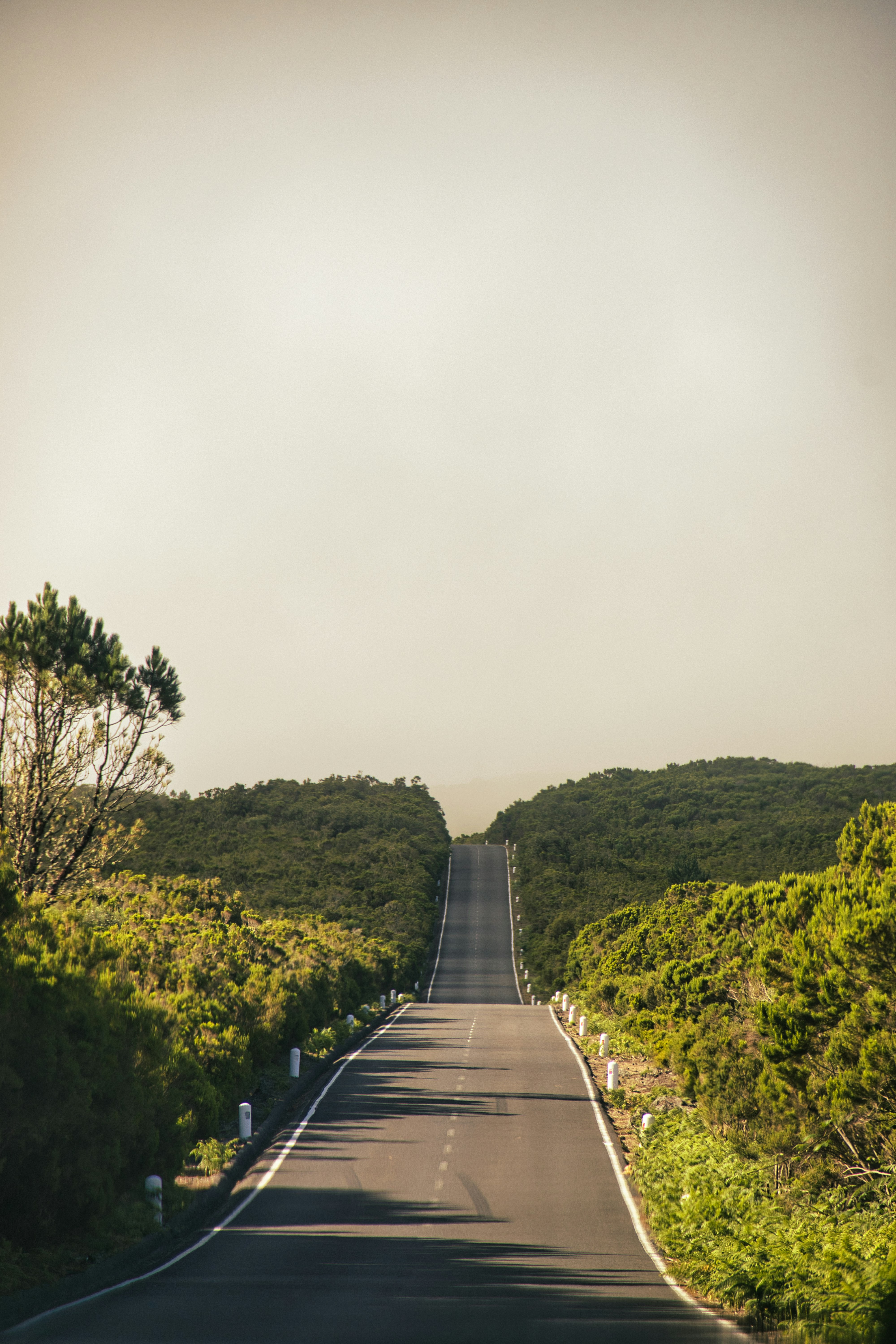 Vanishing Crest: A Quiet Road to the Distant Ridge