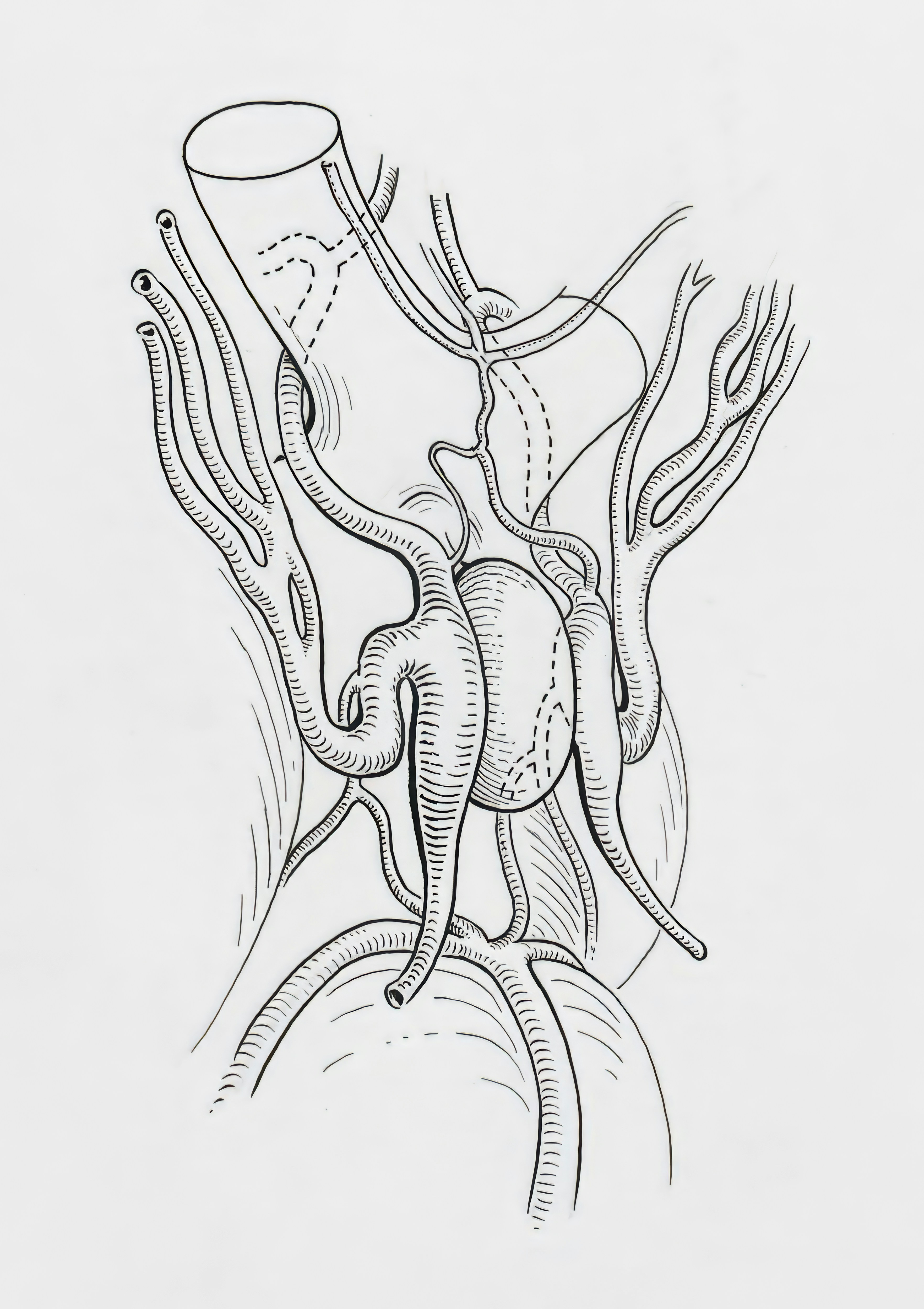 Clipart Mansanas Drawing Pictures | Download Free Images on Unsplash