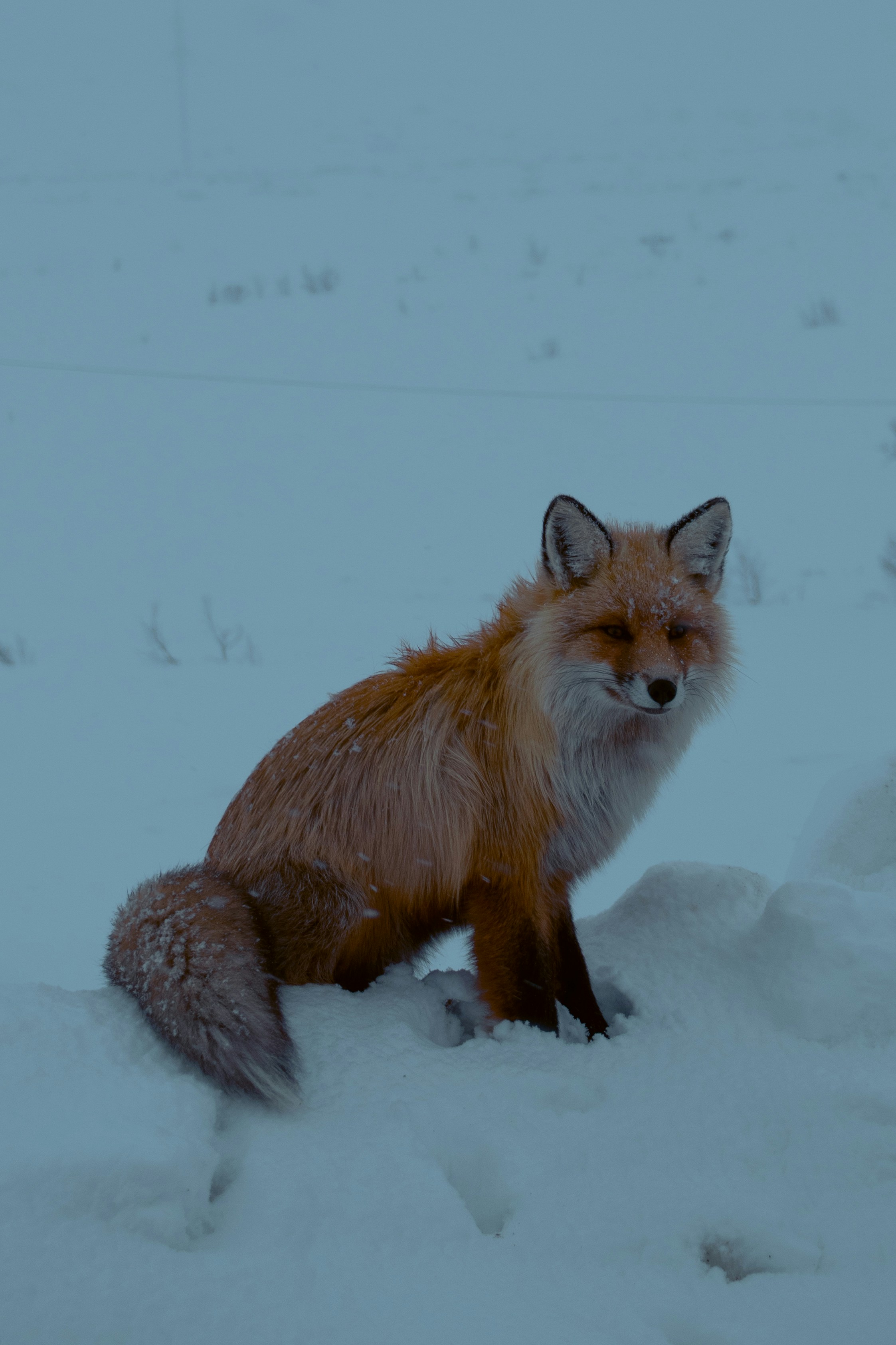 Photo by Daniel Vis with Canon EOS 77D