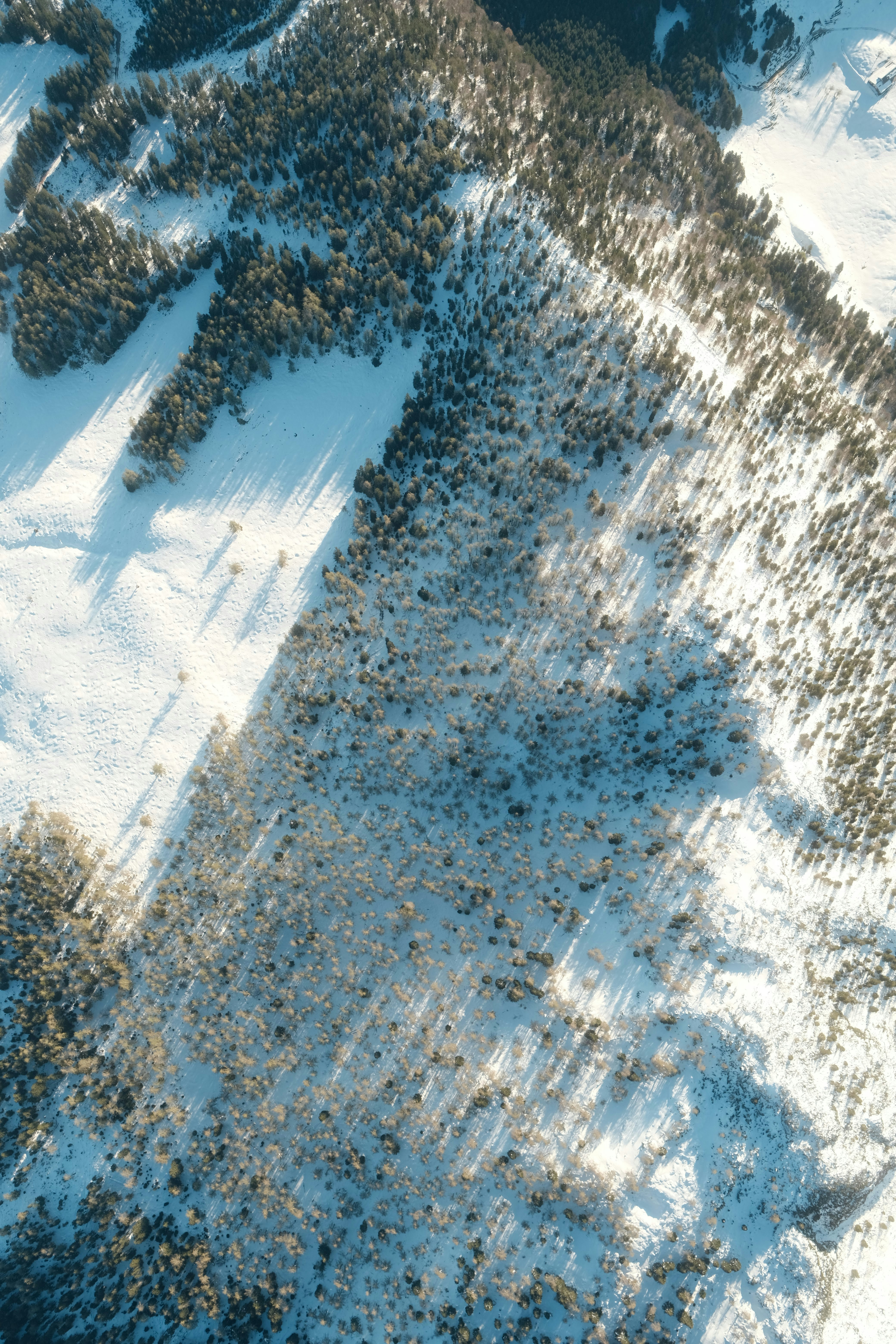 Photo by Lurucrain with Fujifilm X-T30 II