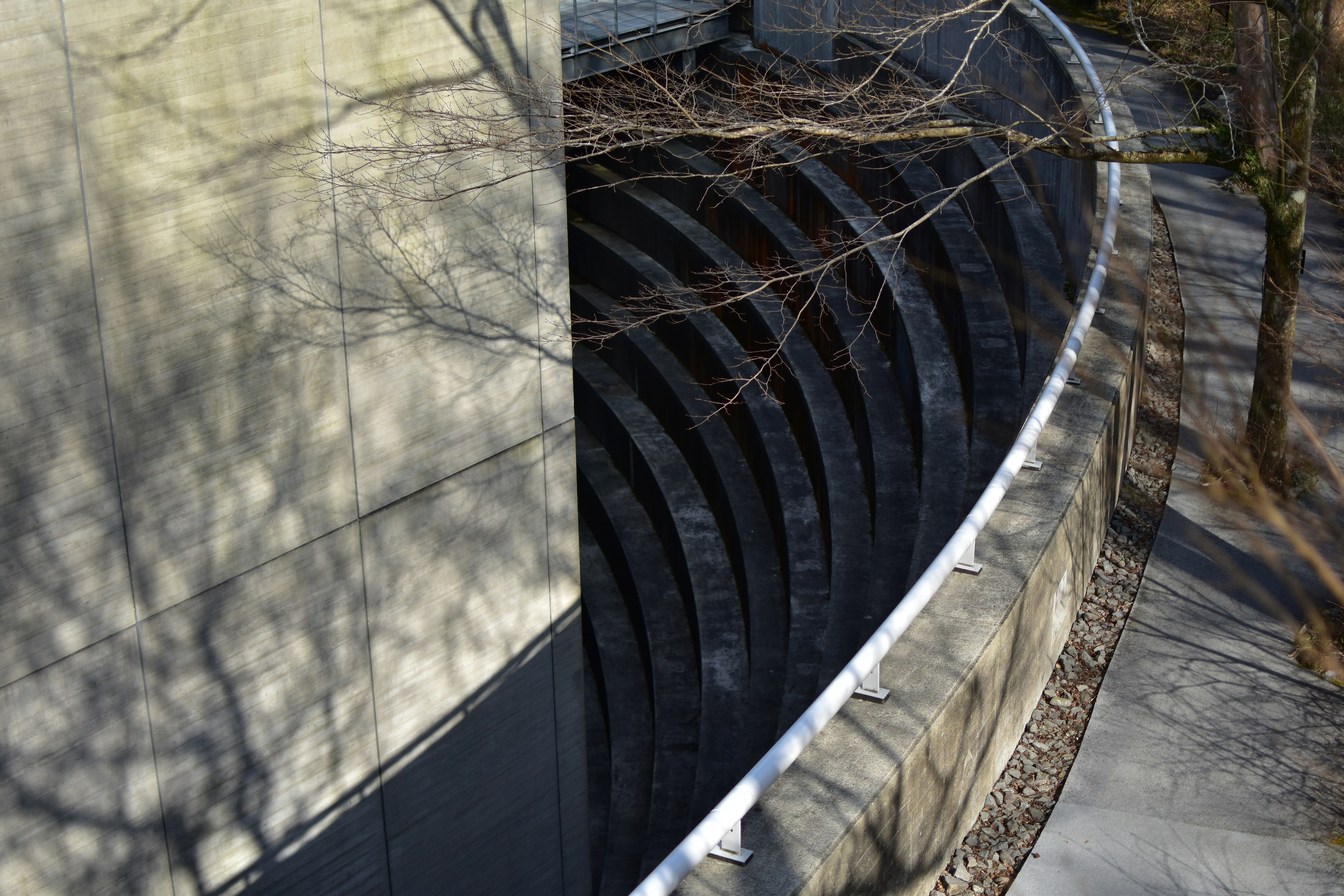 A building with a curved wall next to a tree photo – Free Pola museum ...