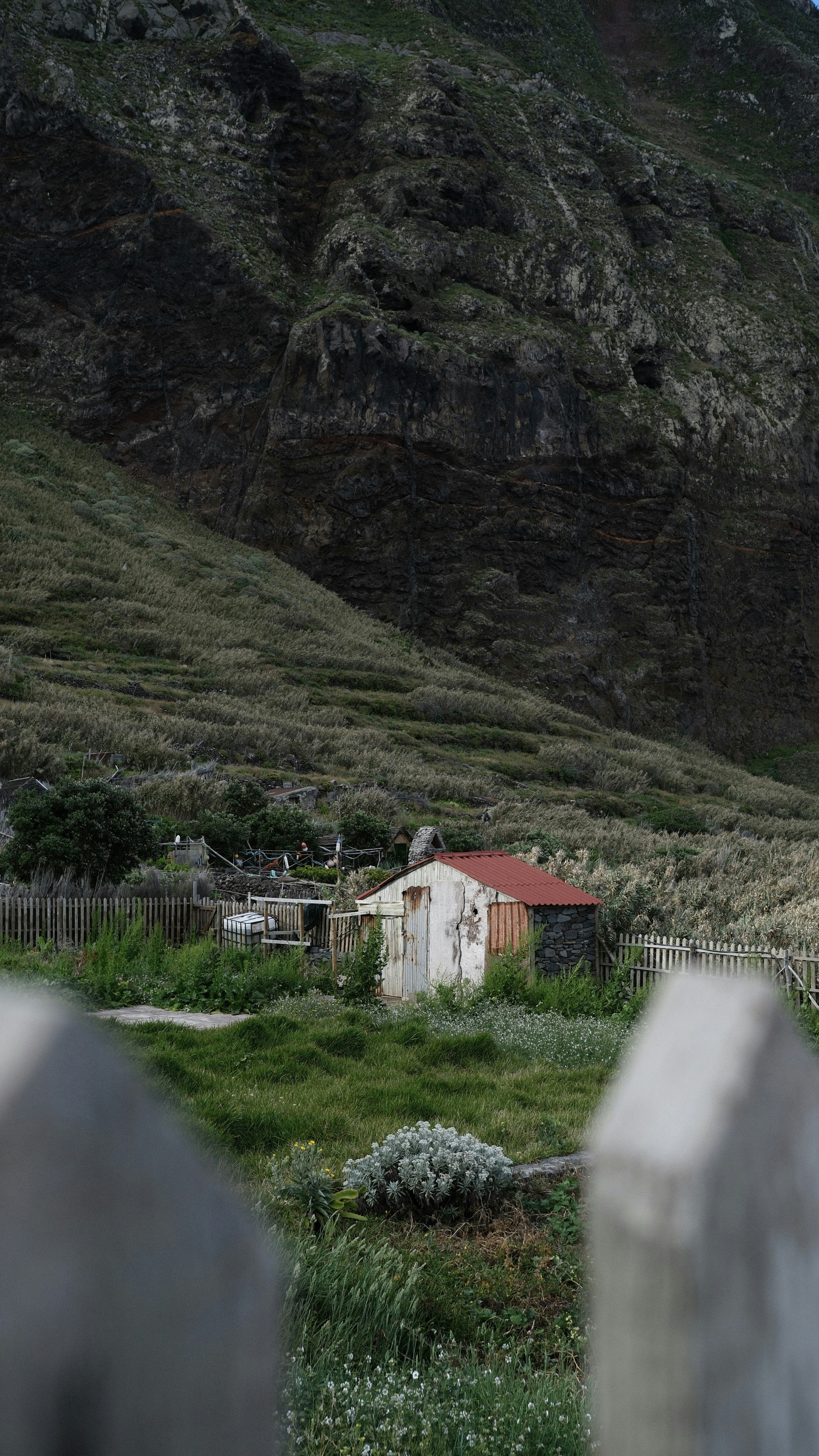 Red-roofed Shed at the Foot of a Mossy Moor Cliff