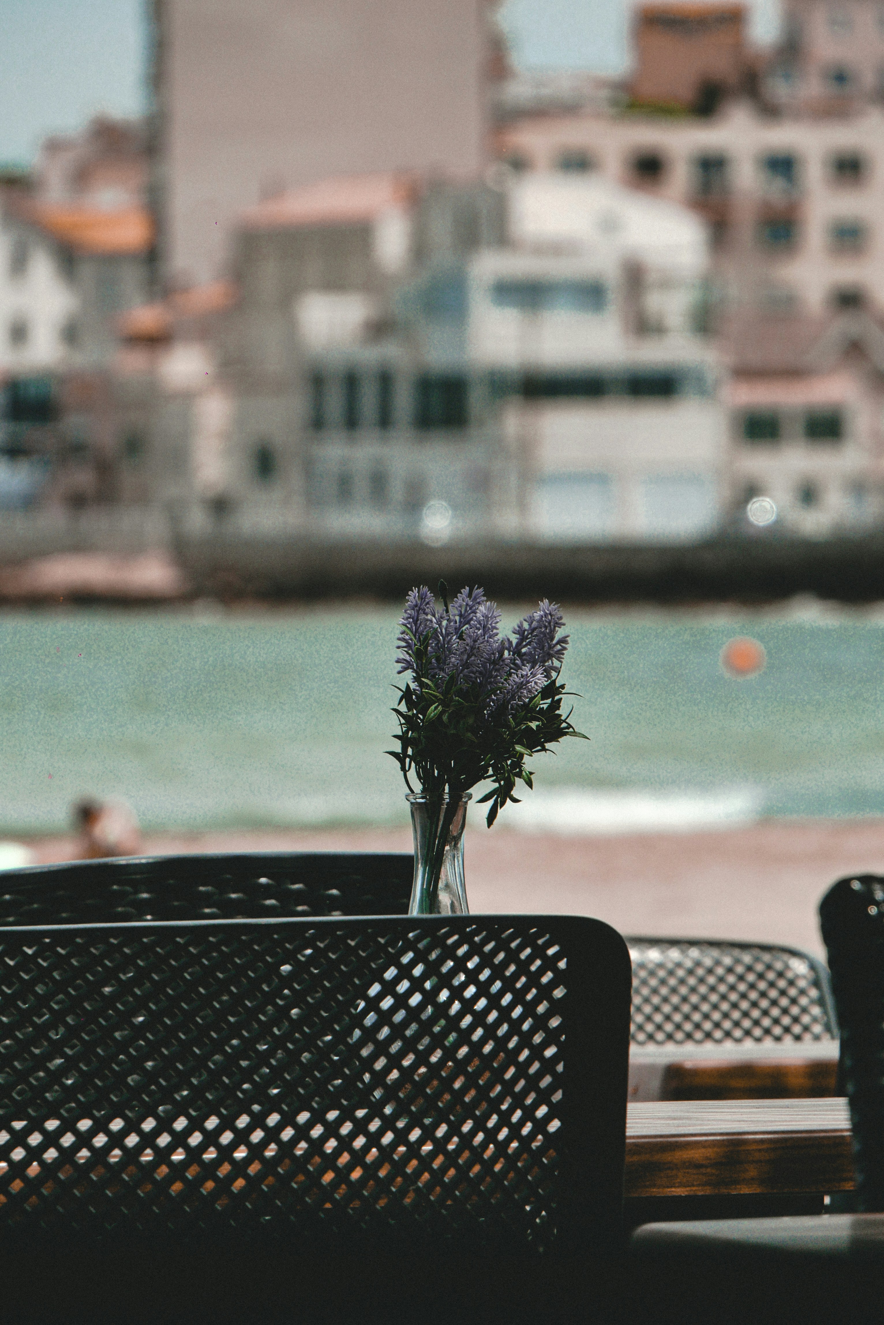 Sea-Breeze Lavender: A Quiet Beachside Table Centerpiece