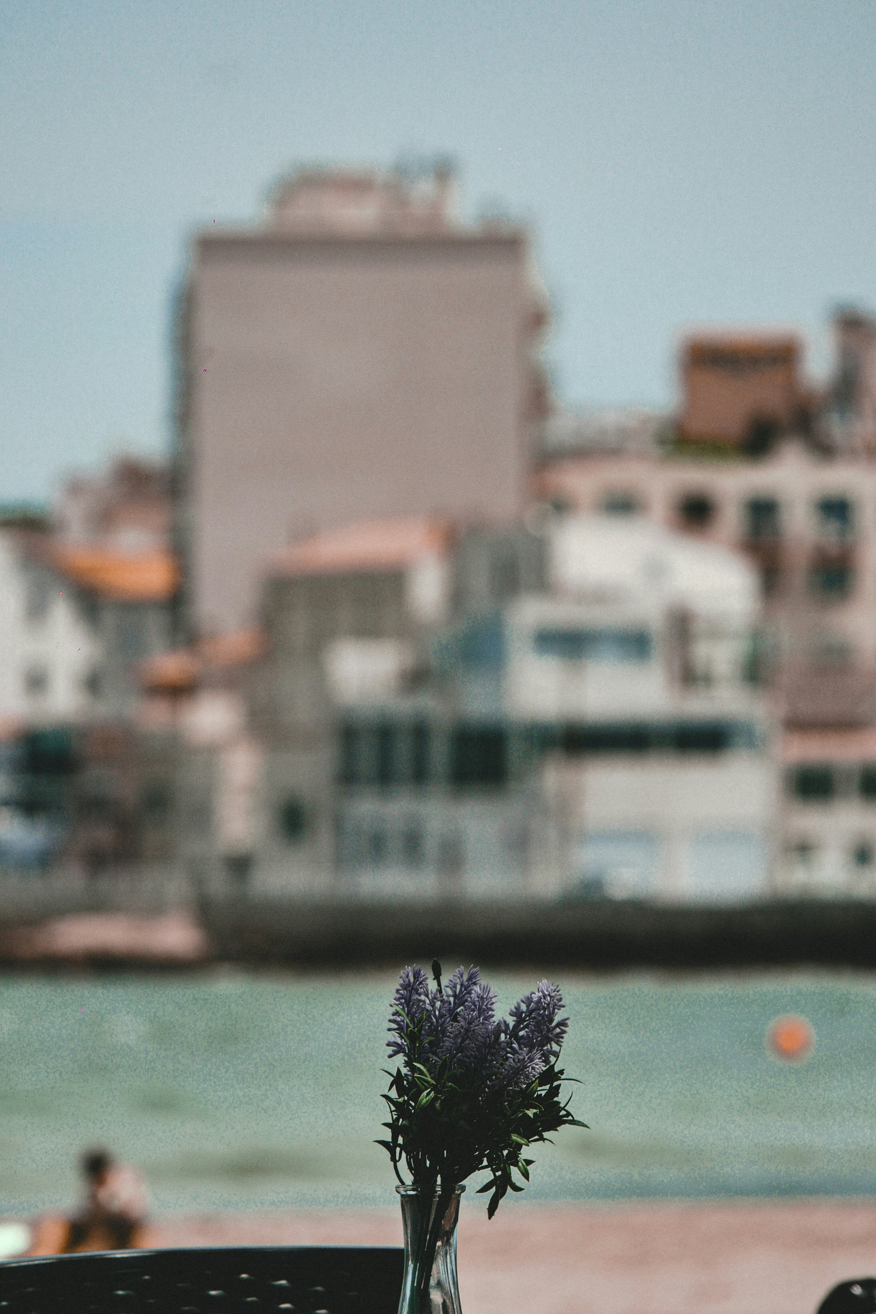 Lavender on a Beachfront Table as a Cityscape Softens into Blur