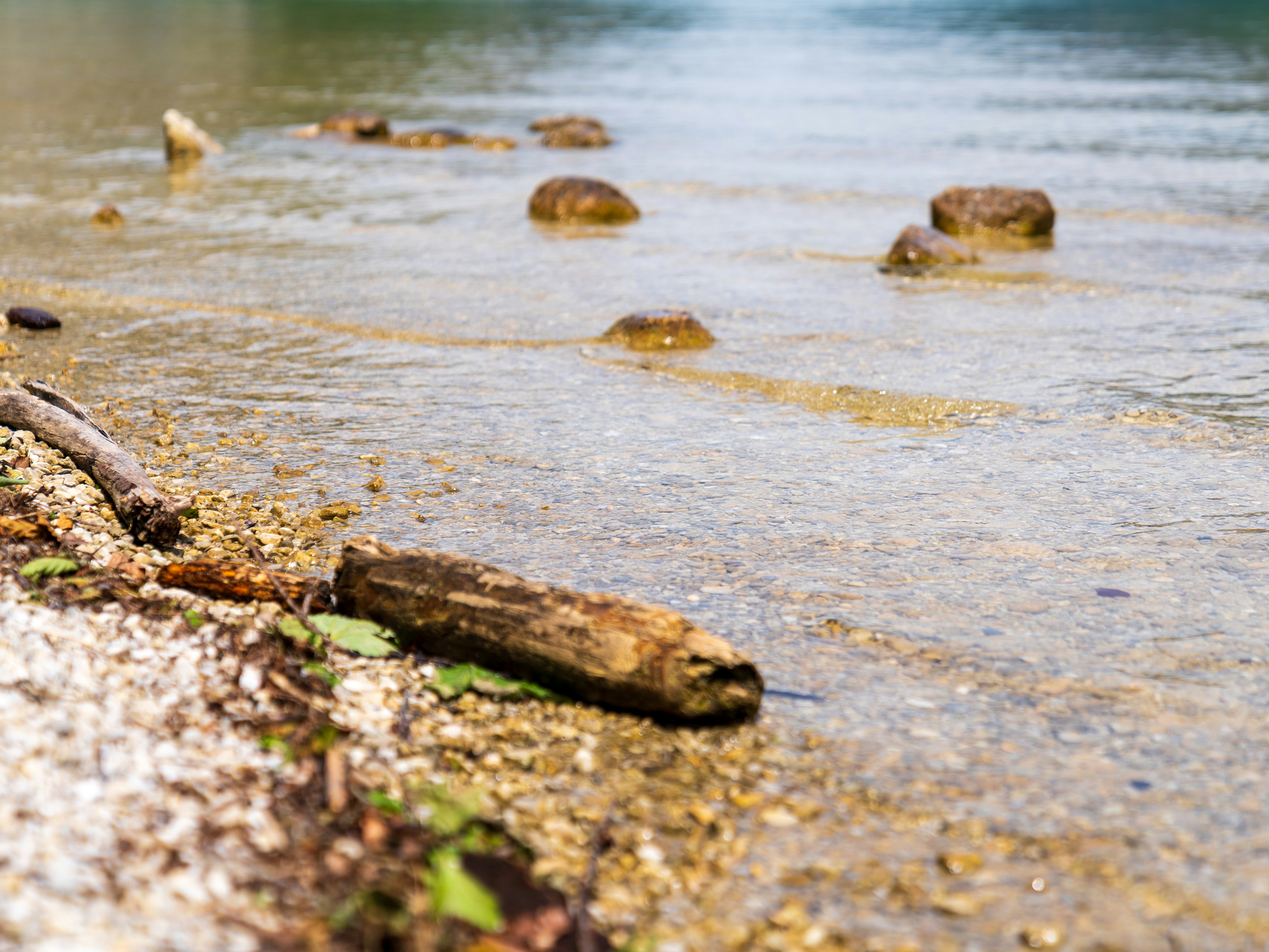 A log laying on the shore of a lake photo – Free Berchtesgadener land ...