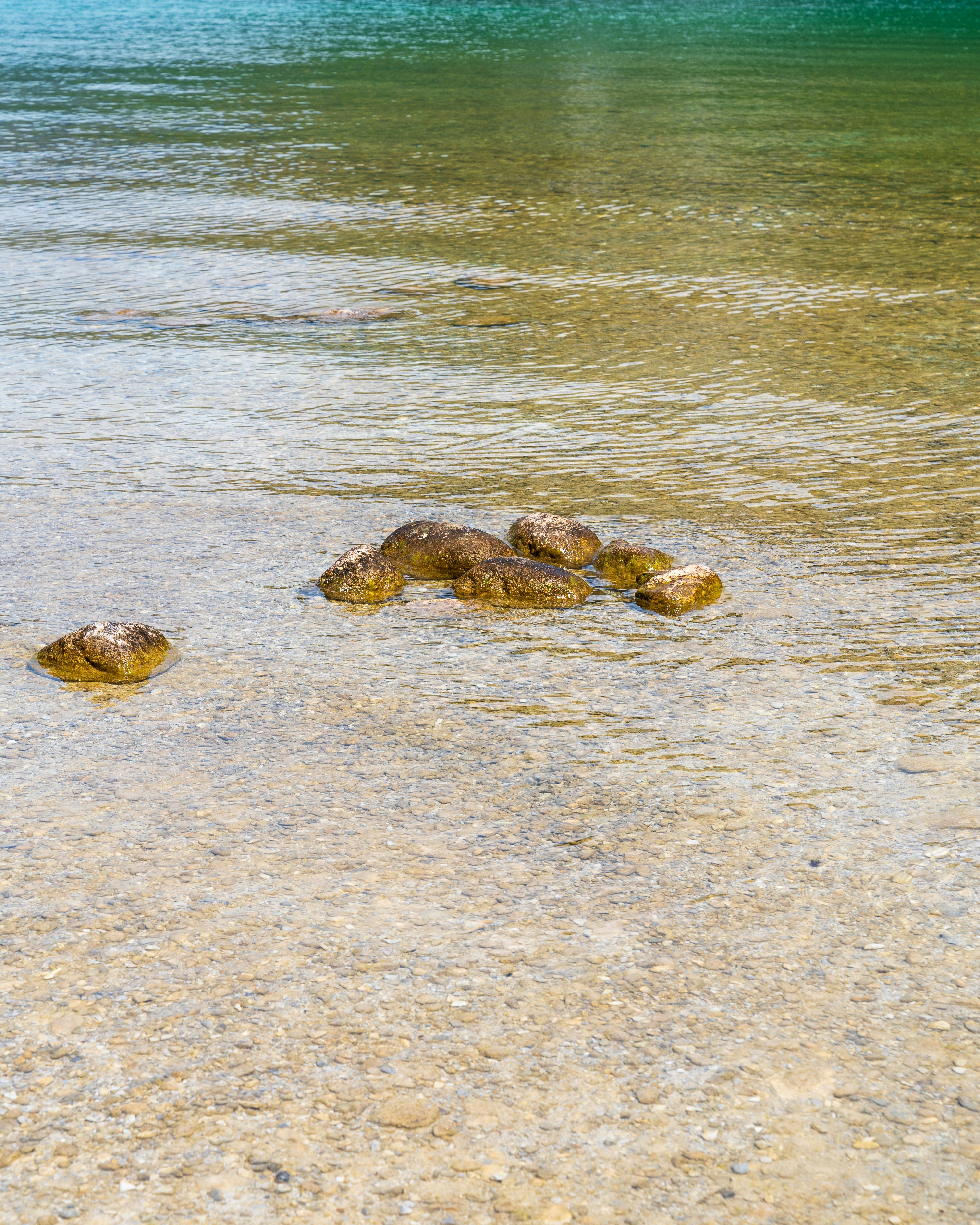 Calm Stones at the Edge: Sunlit Shallows and a Rock Cluster