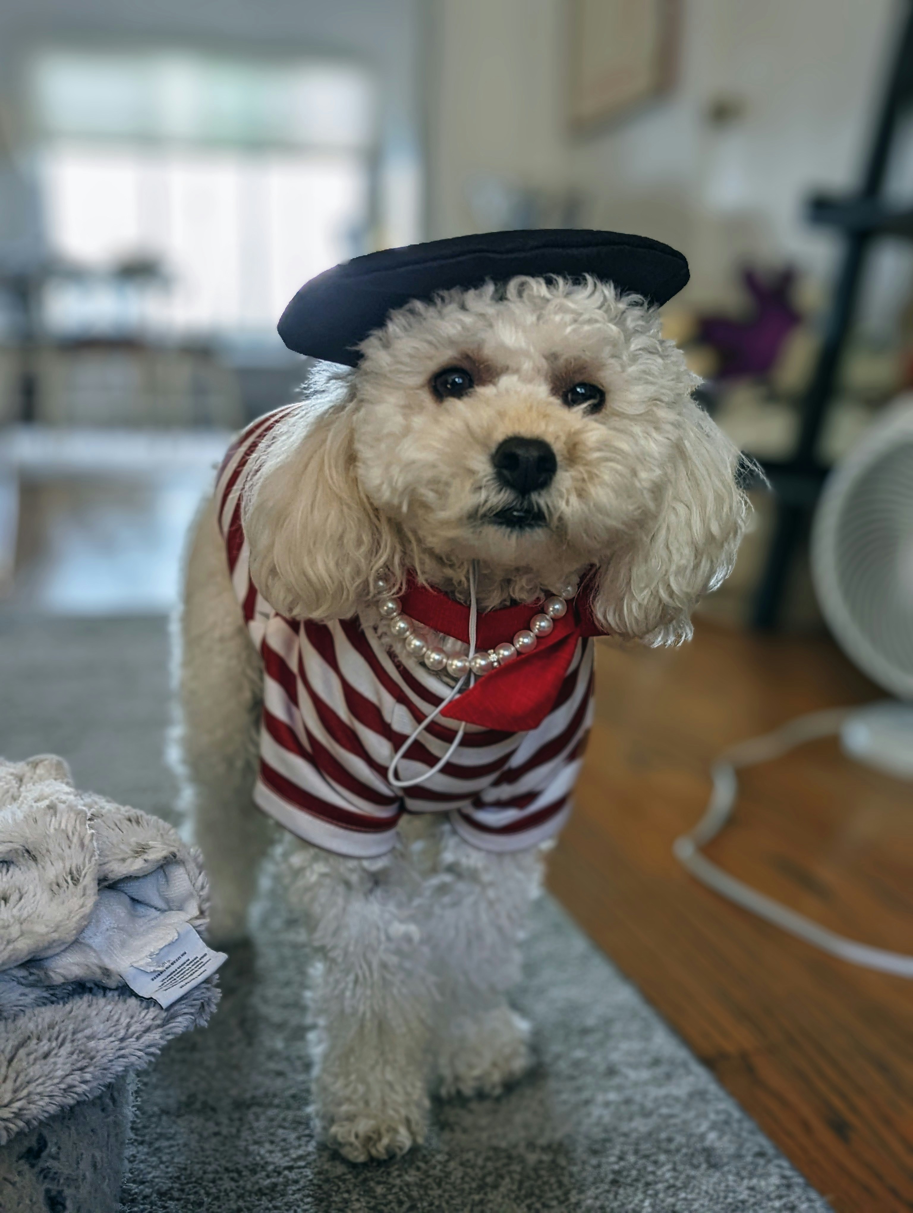 BP Miller (@bp_miller) | Unsplash Photo Community