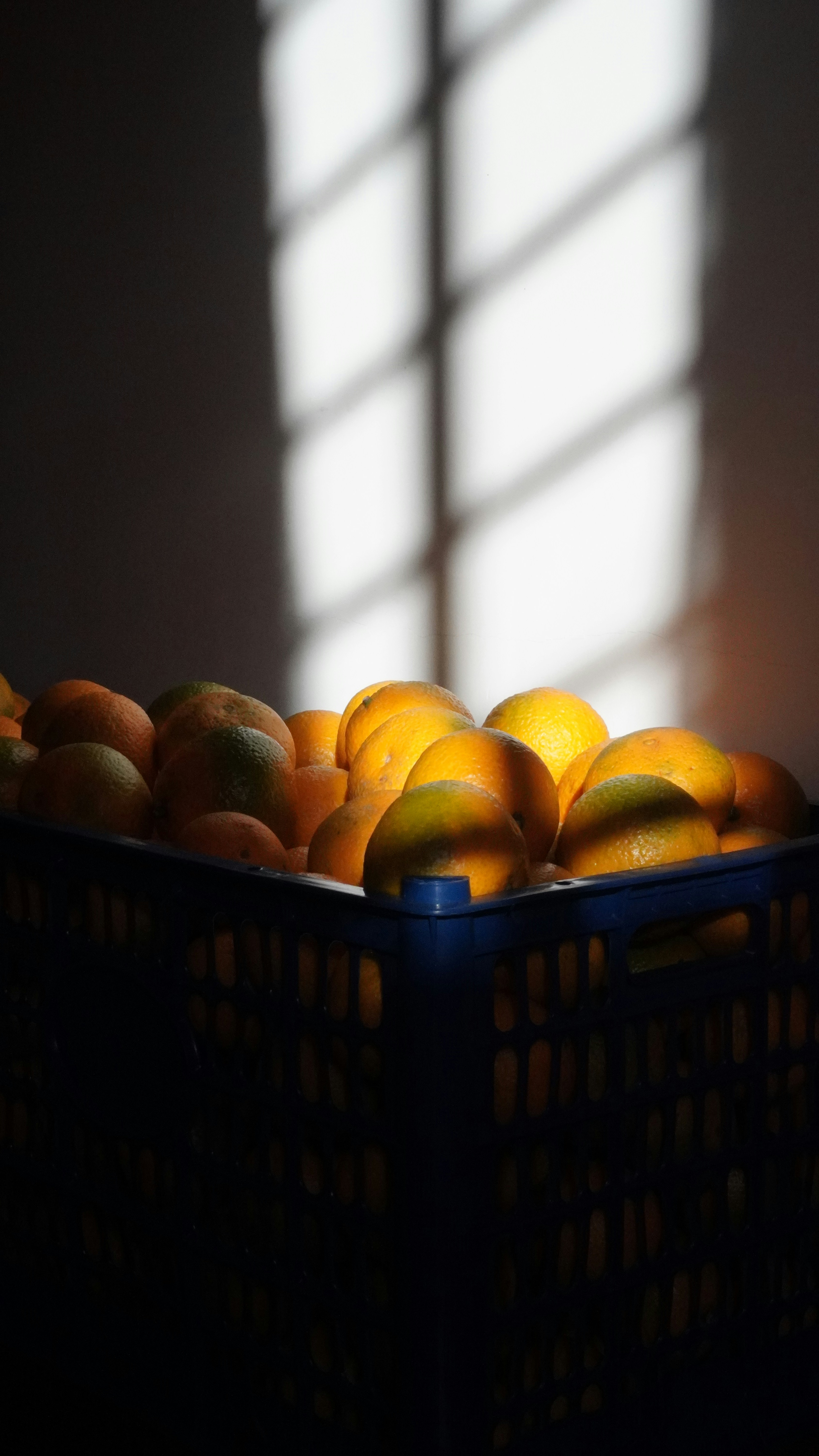 Photo by Tristan Ng with SONY ZV-E10