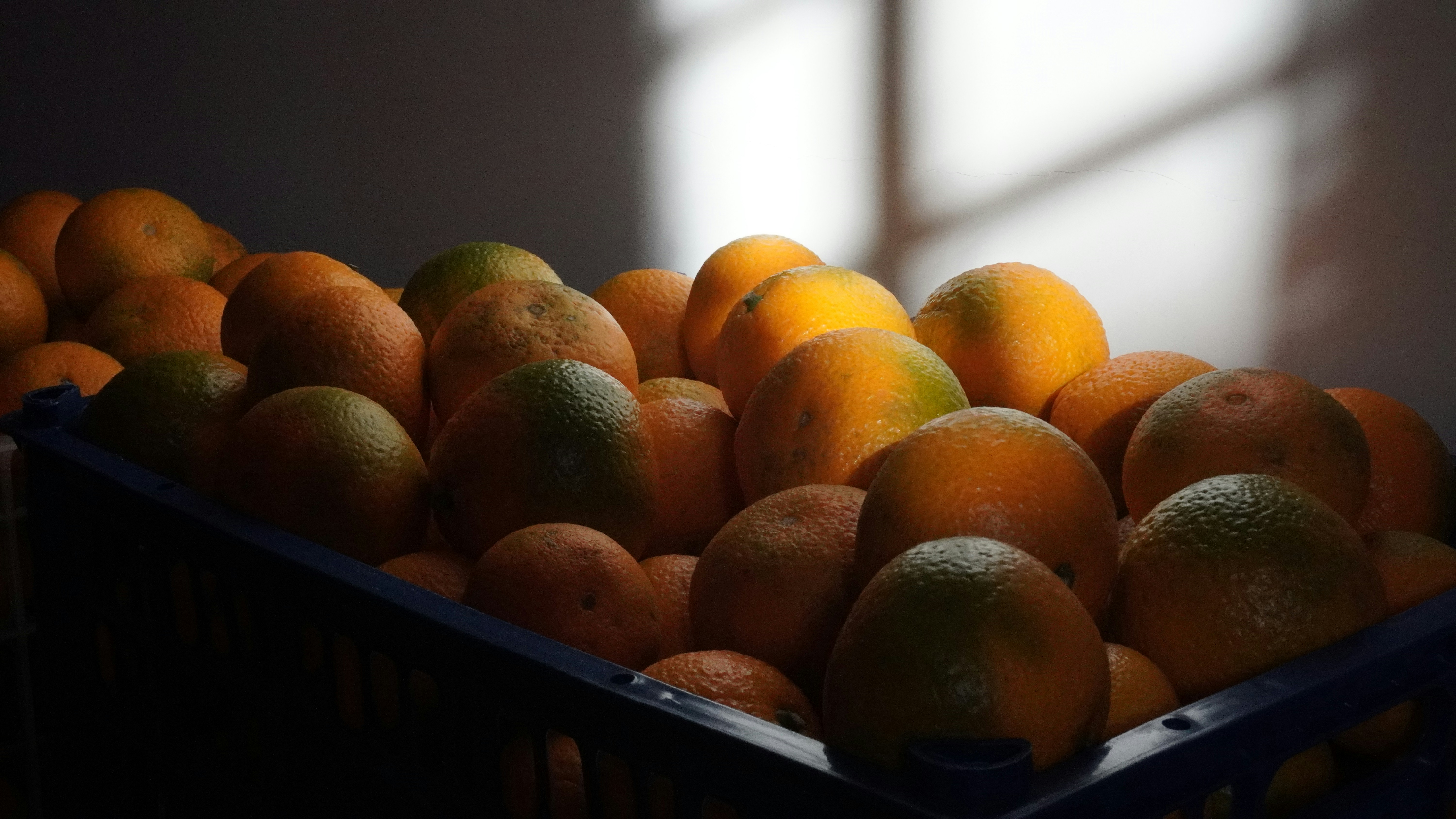 Citrus in Window Light: A Quiet Still-Life by the Crate