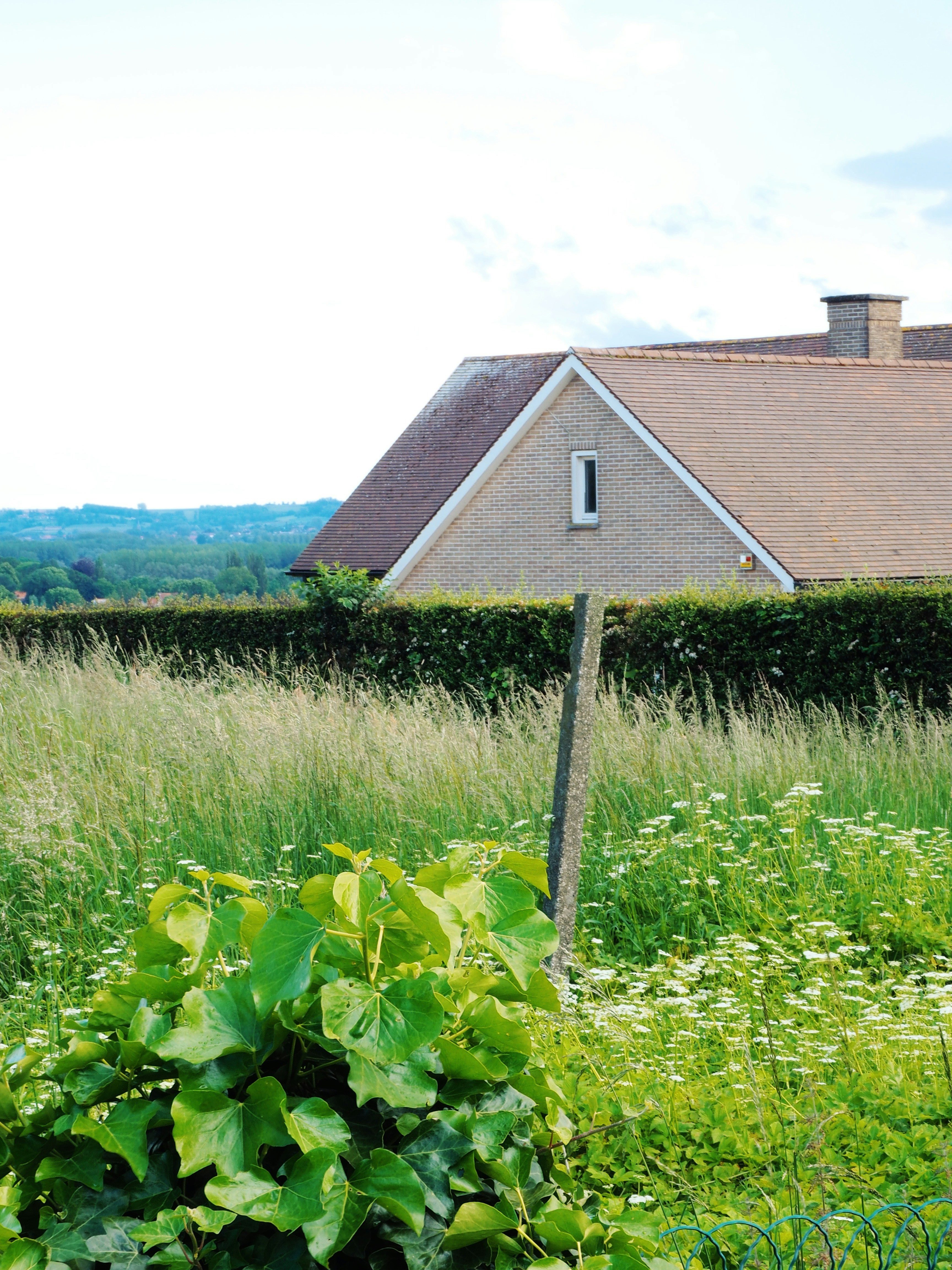 Photo by Xavier Demets with Olympus OM-D E-M10 Mark II