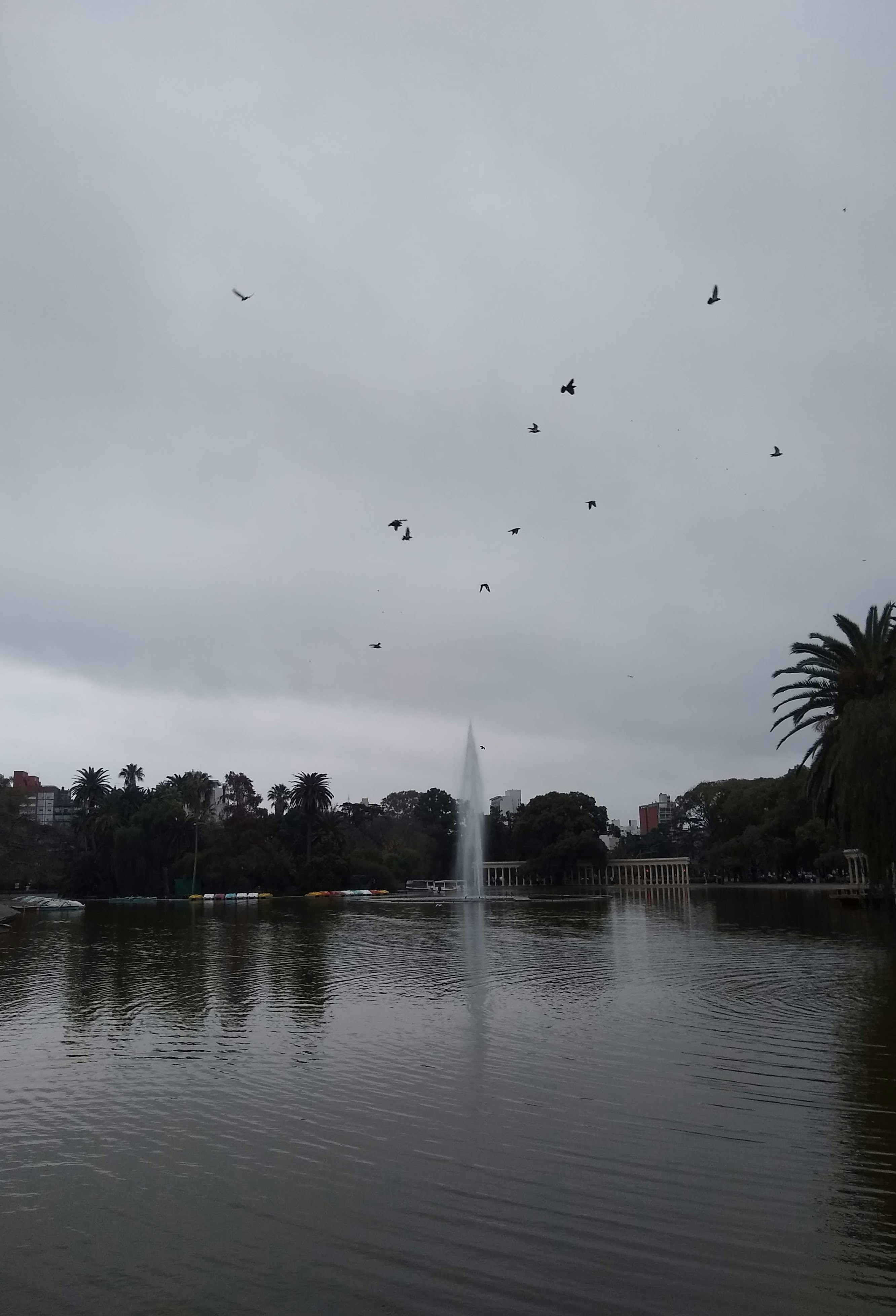 Fountain spraying water in a tranquil park setting, surrounded by palm trees and birds in flight under a cloudy sky.