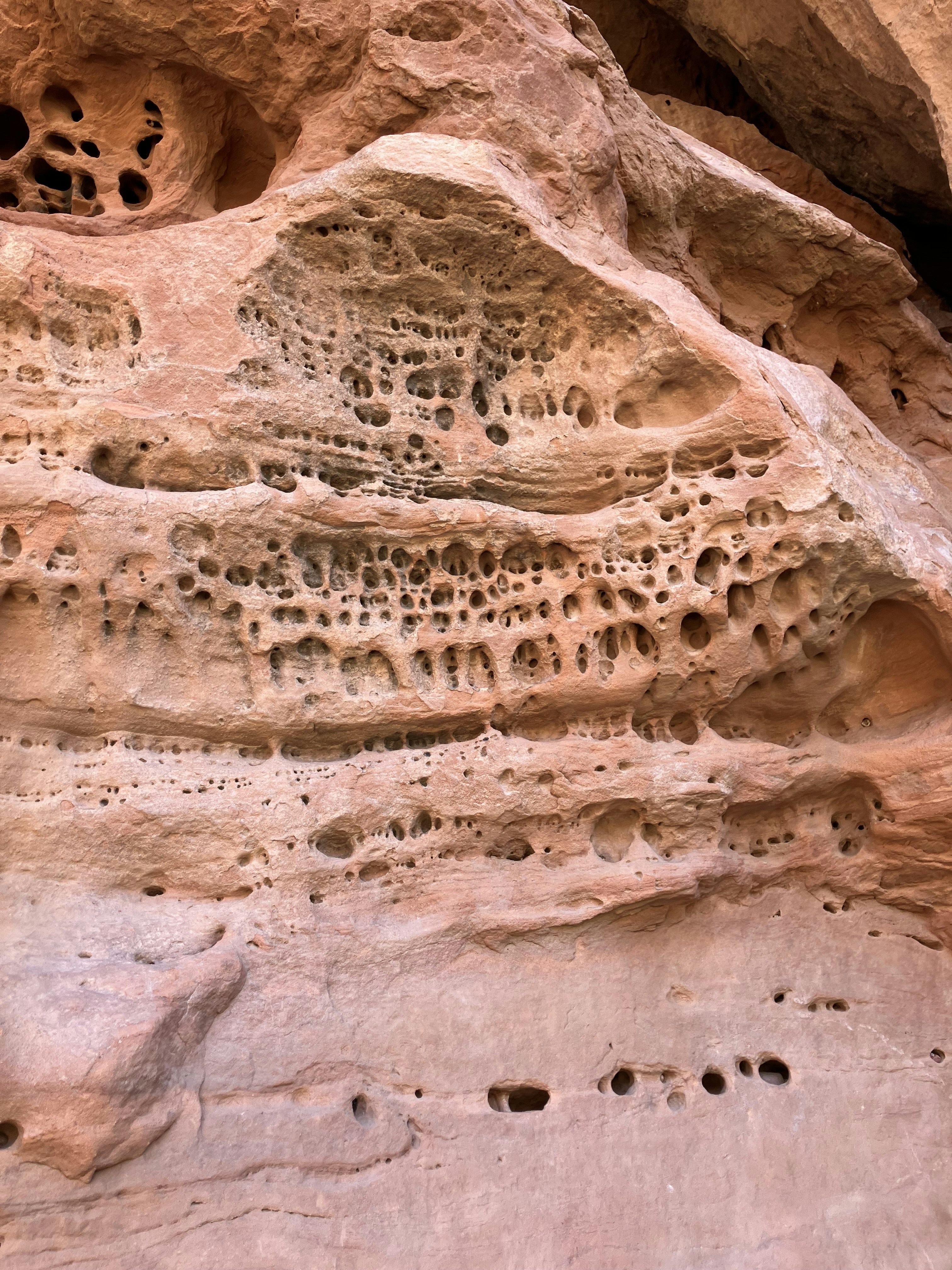 A close up of a rock formation with holes in it photo – Free Snow ...