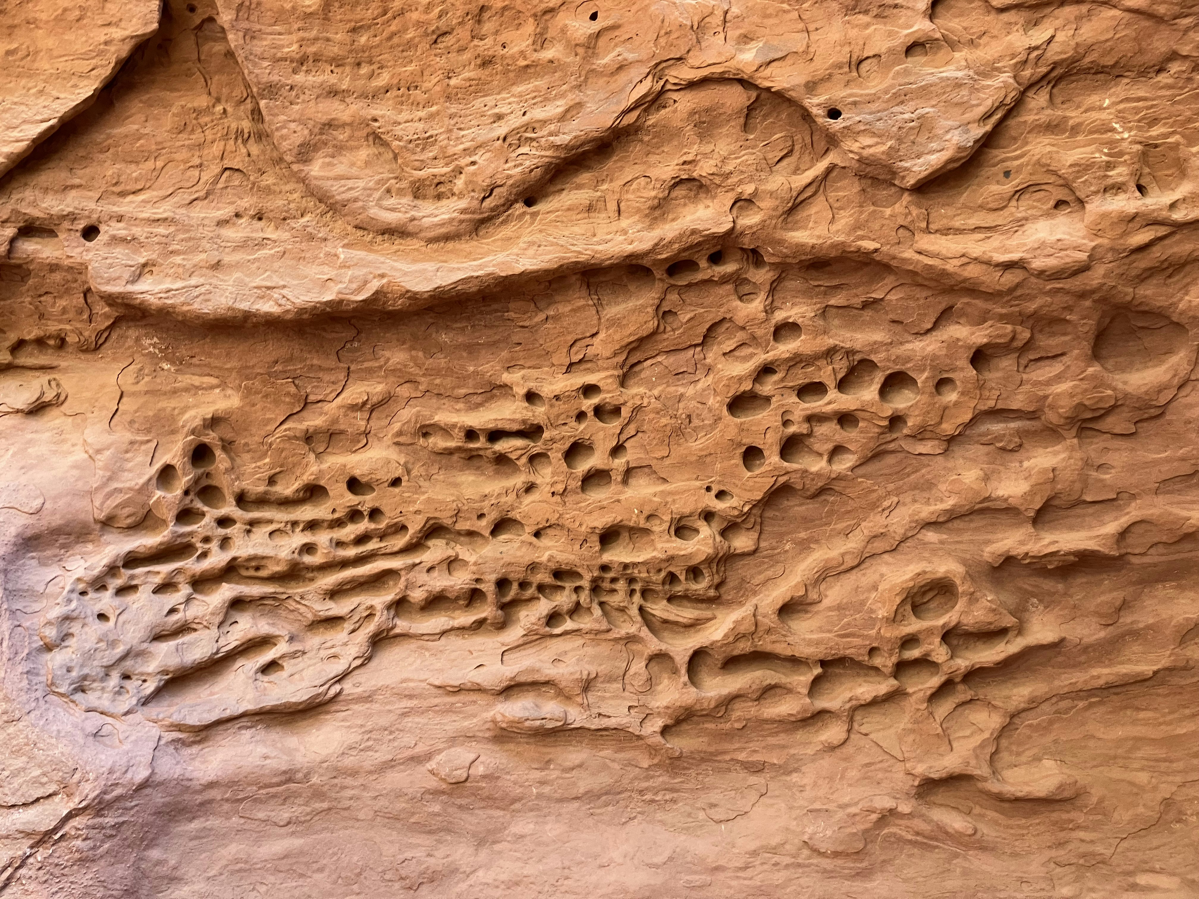 A close up of a rock with holes in it photo – Free Snow canyon Image on ...