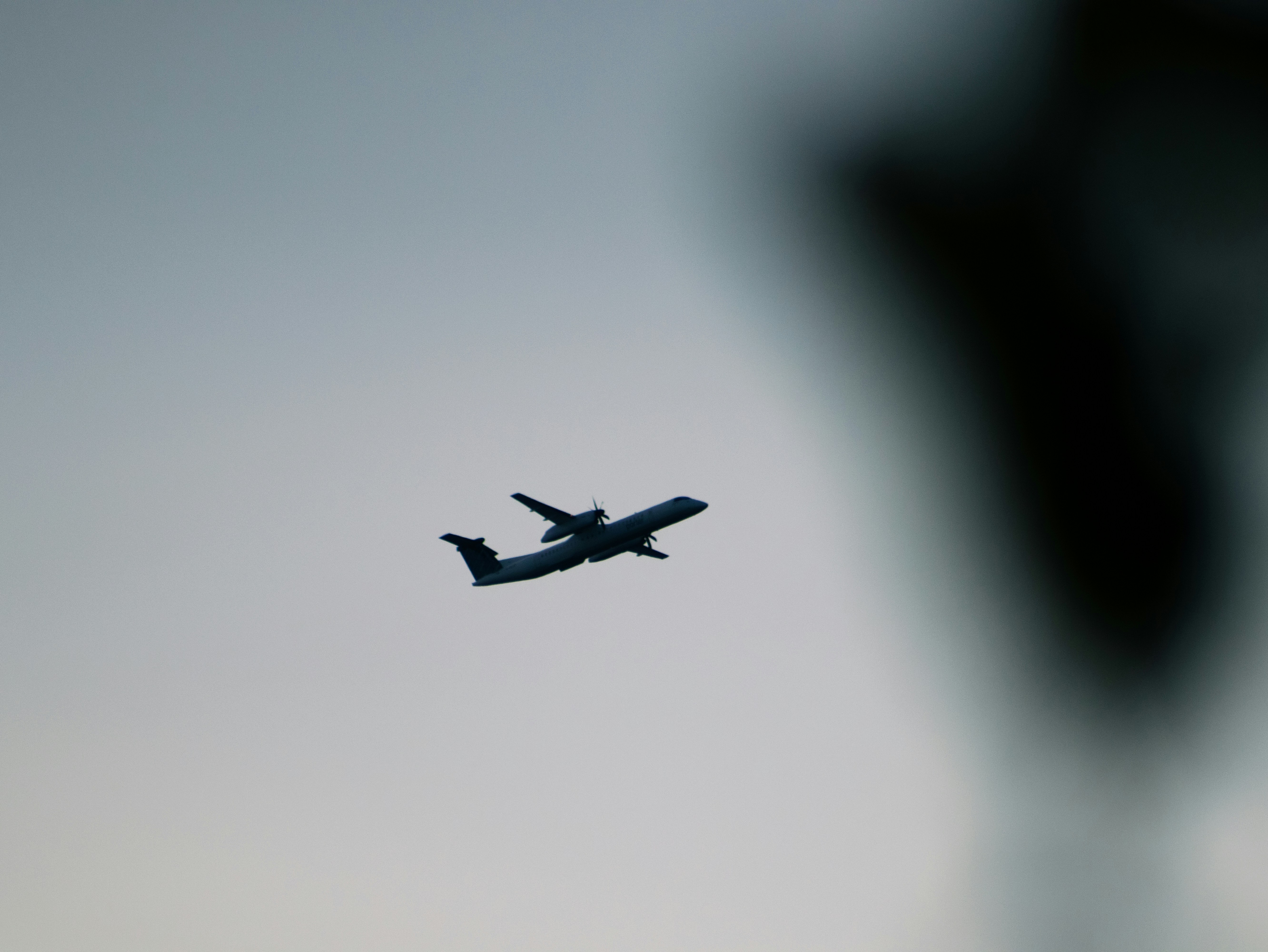 A plane that has taken off from Porter Airport, Toronto.