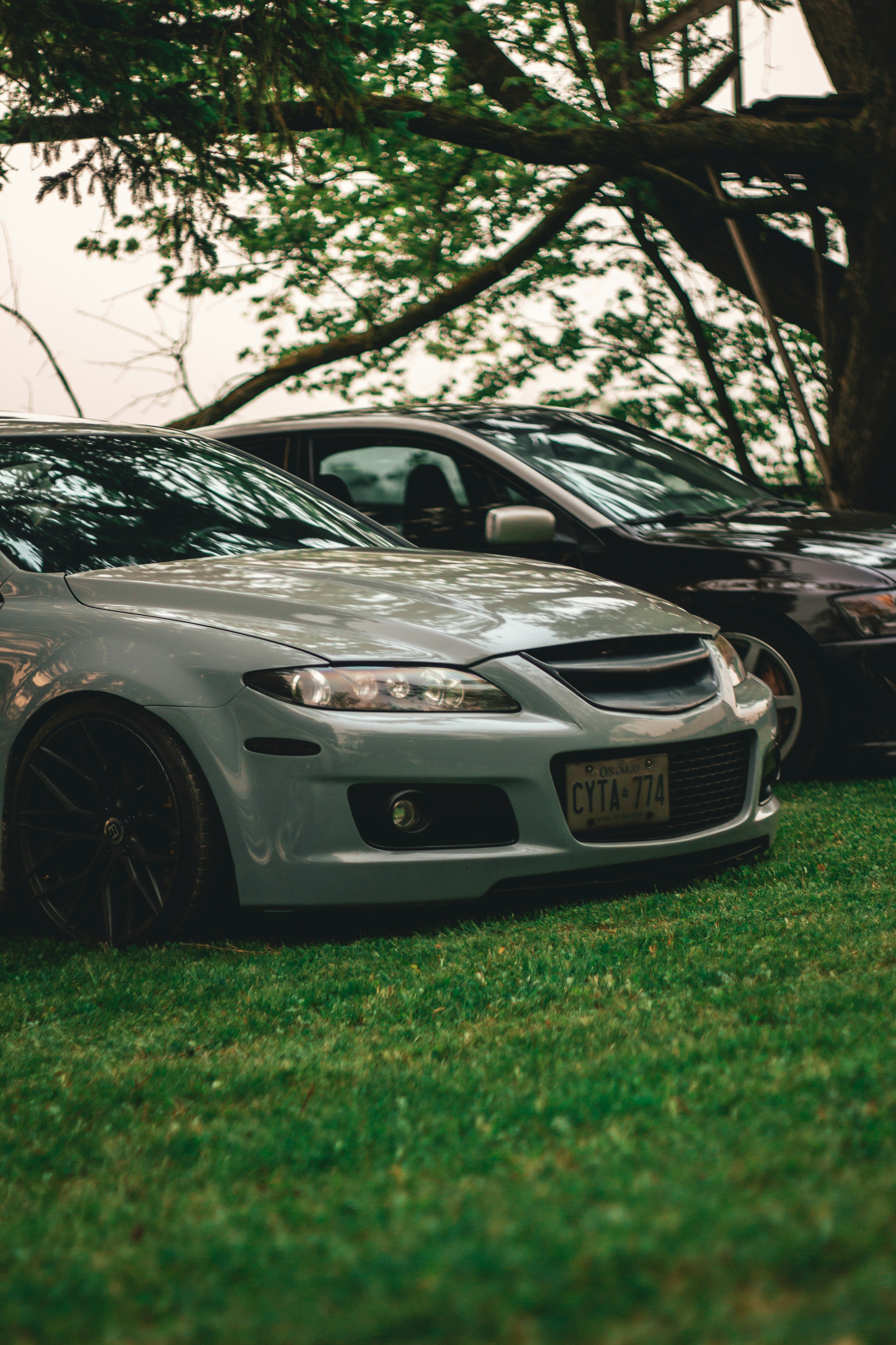 Photo by Aden Heeremans with Canon EOS 1200D