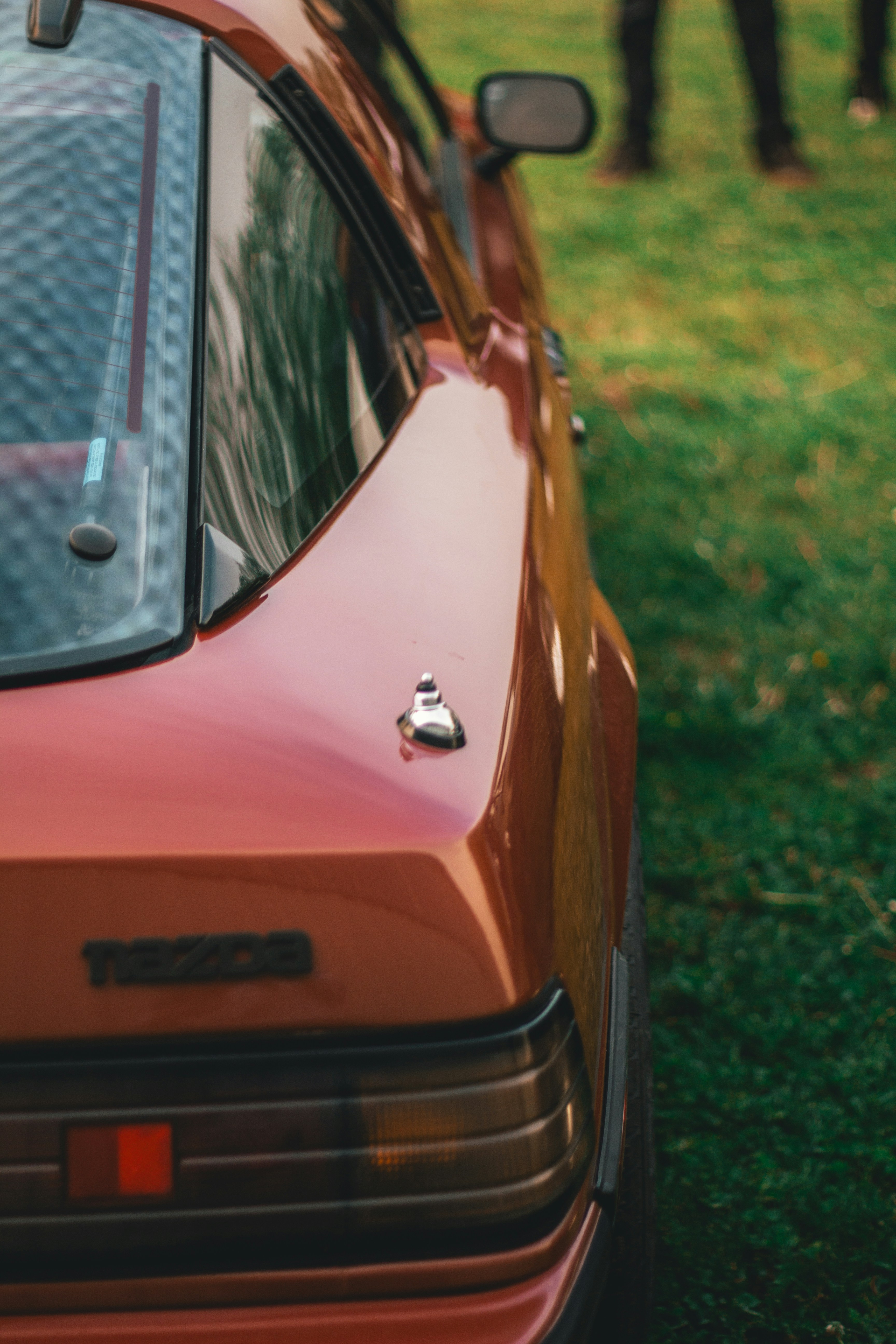 Photo by Aden Heeremans with Canon EOS 1200D