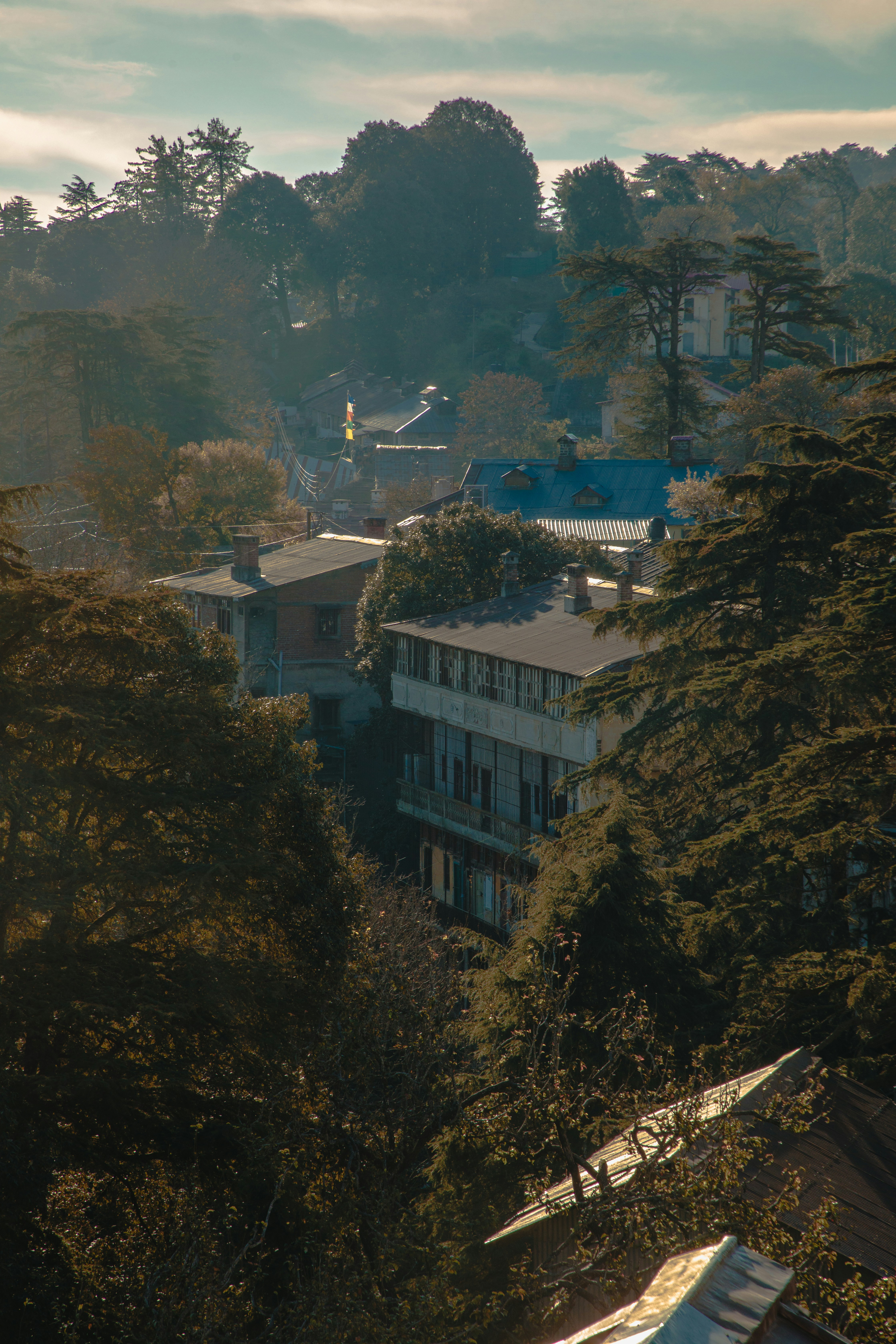Blue Roof Overlook: A Hillside Village Framed by Pines