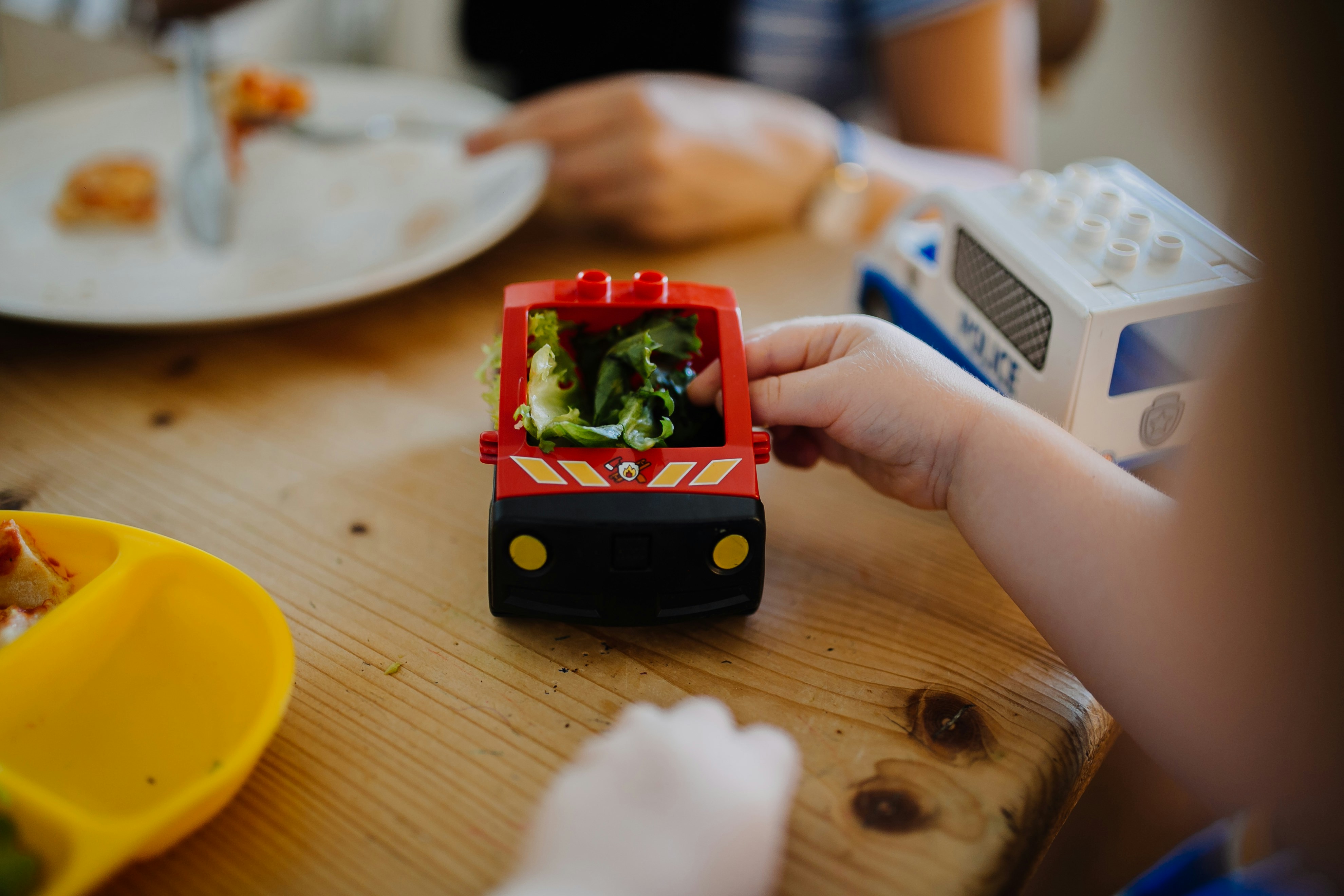 Photo by Phil Hearing with Canon EOS 5D Mark III