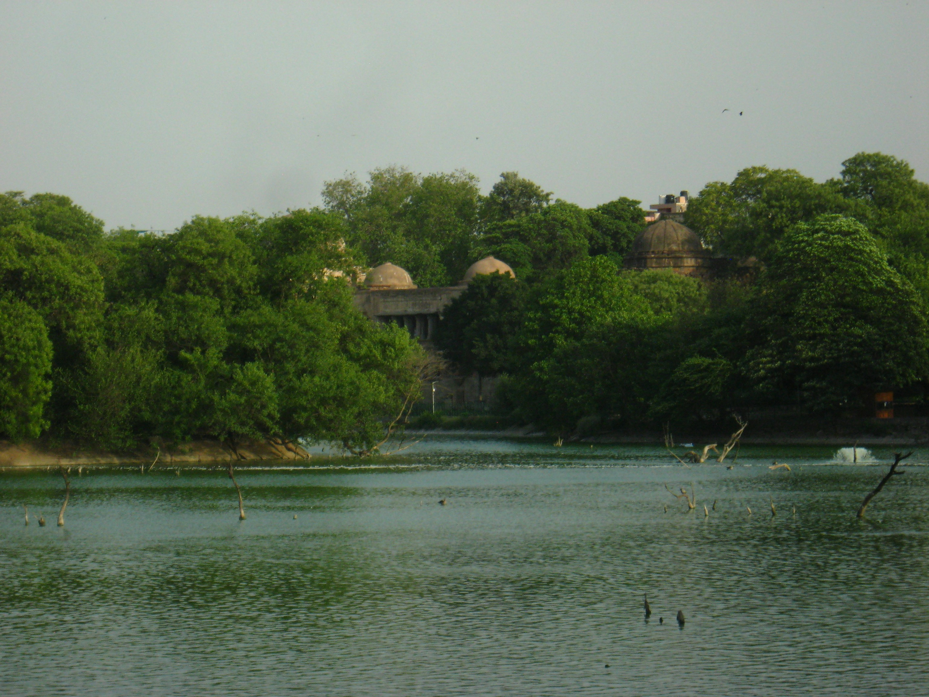 Photo by Pitrochied _ with Canon PowerShot A560