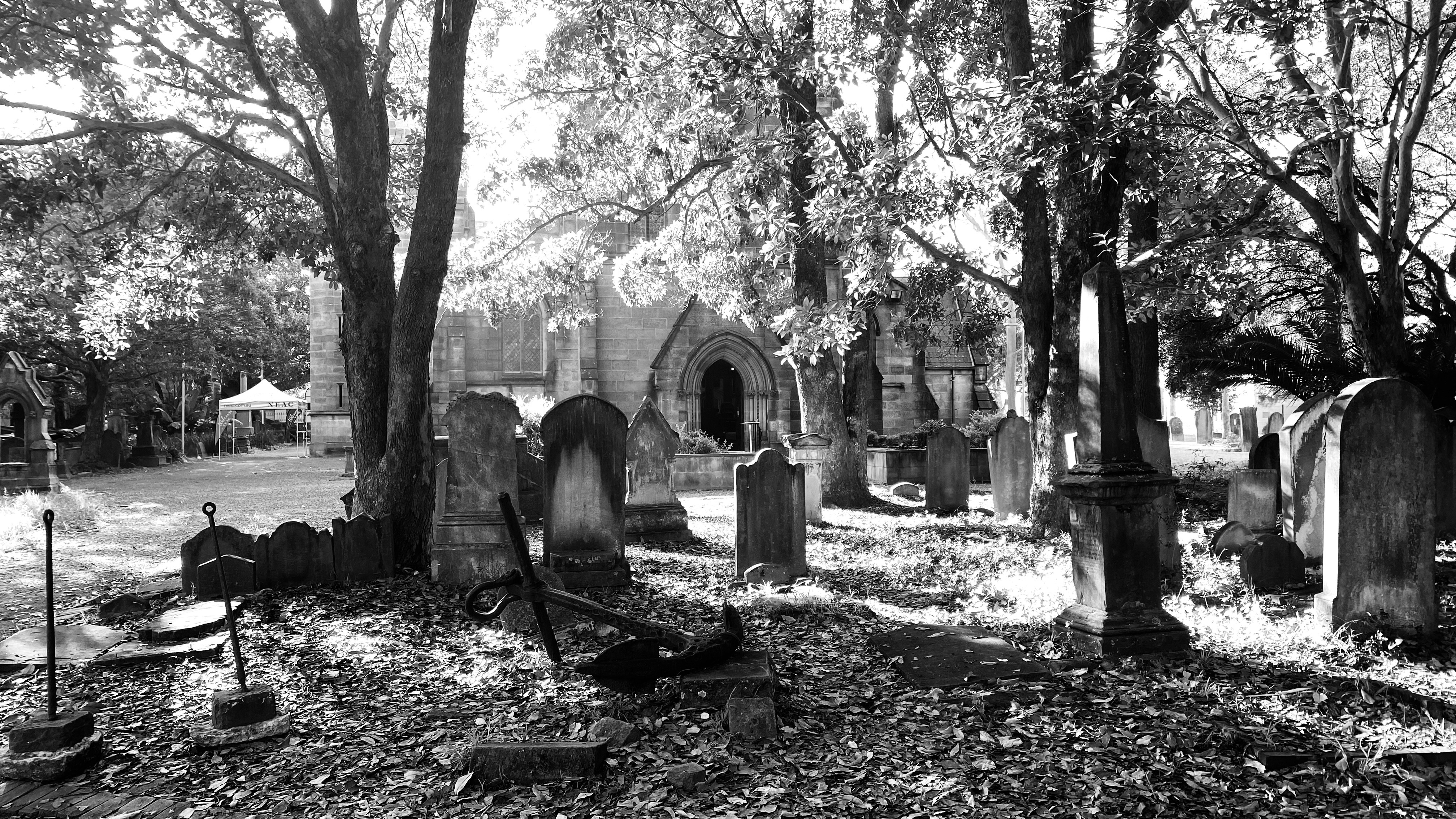 James Toose (@portablepeopleproductions) | Comunidade de fotos da Unsplash