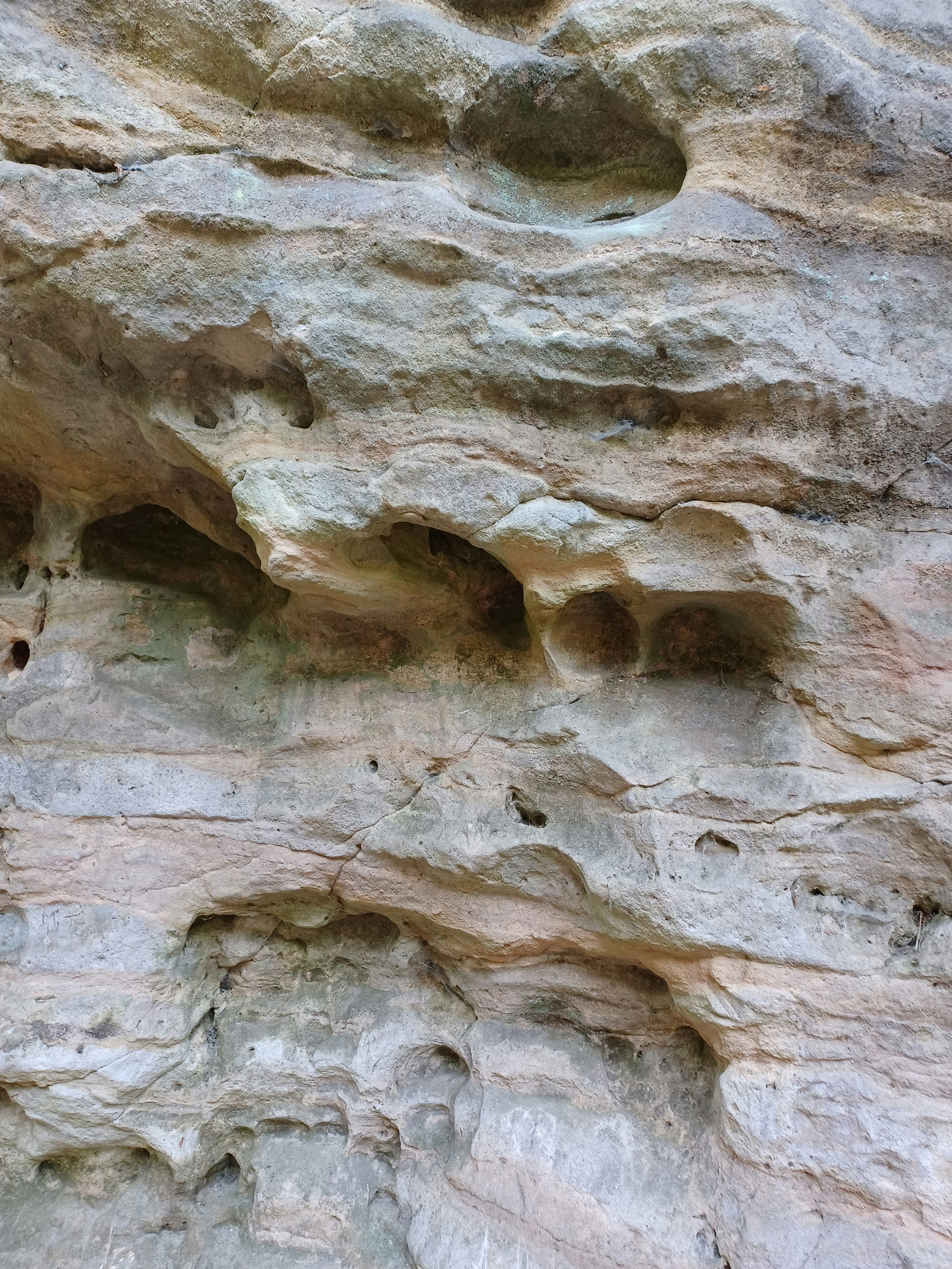 A close up of a rock face with holes in it photo – Free Background ...
