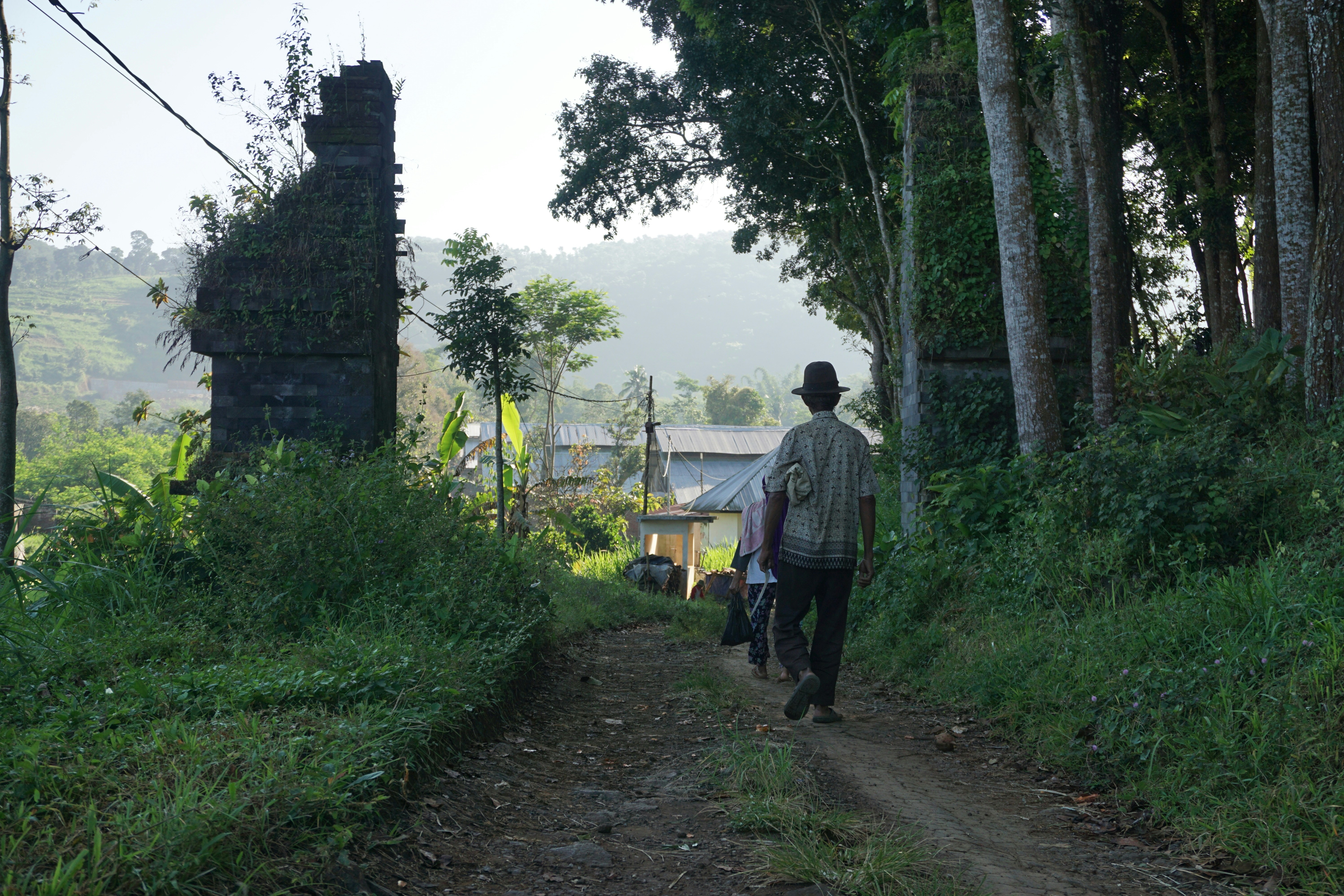 Man walking along a rustic village road flanked by lush greenery and tall trees.