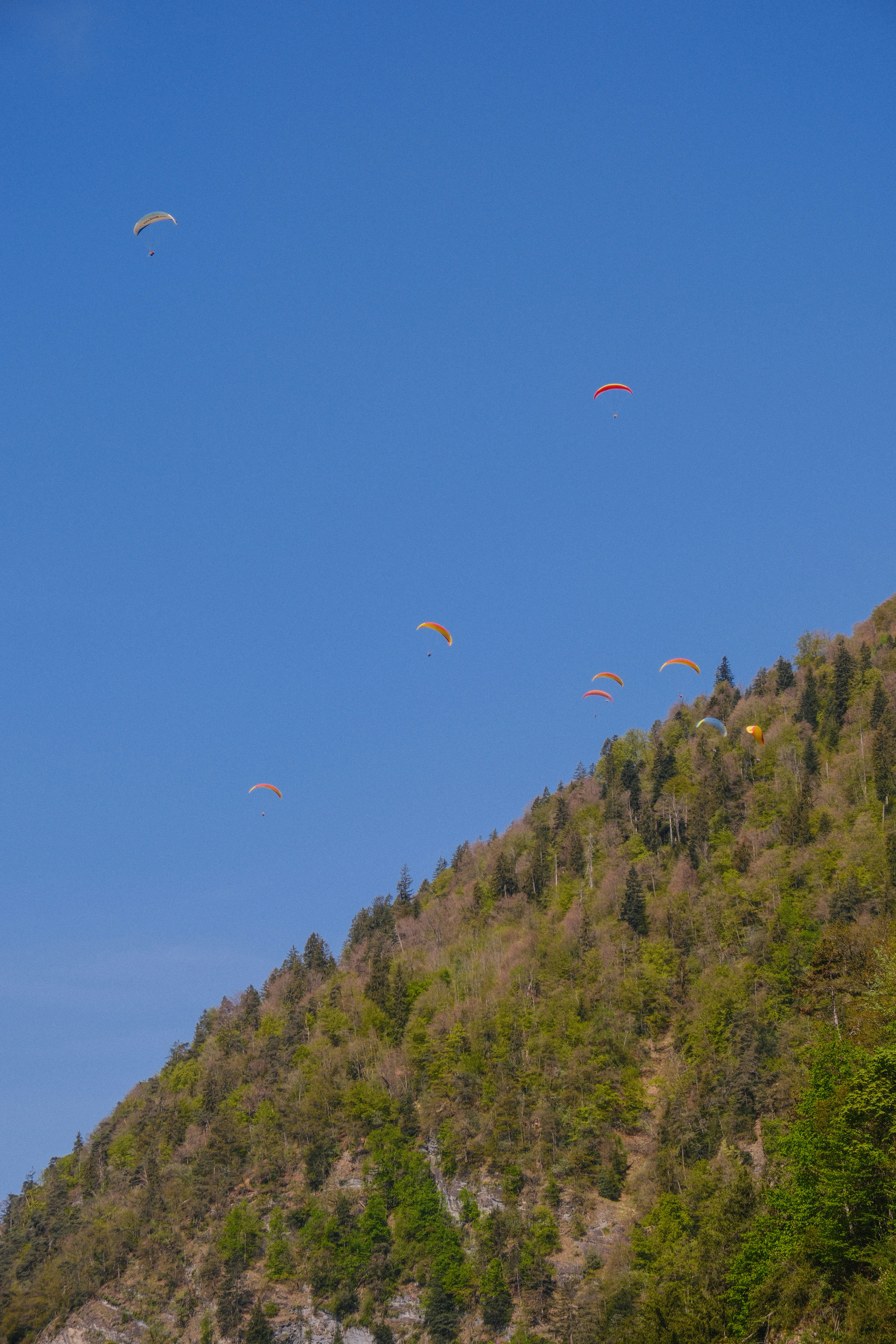 Photo by Alexis Presa with Fujifilm X-T5