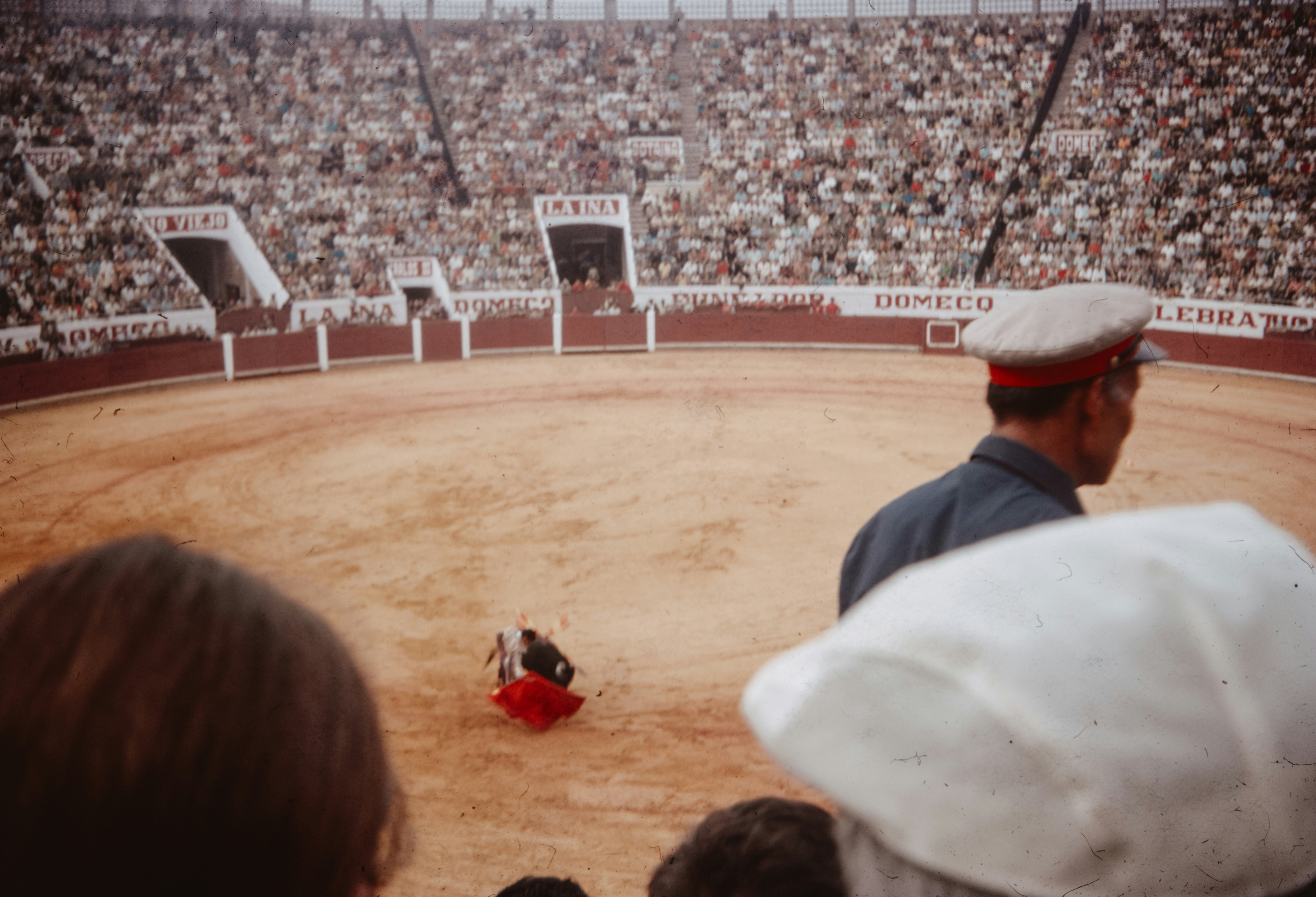 A bullfight scene with a bull in the middle of the ring photo – Free ...