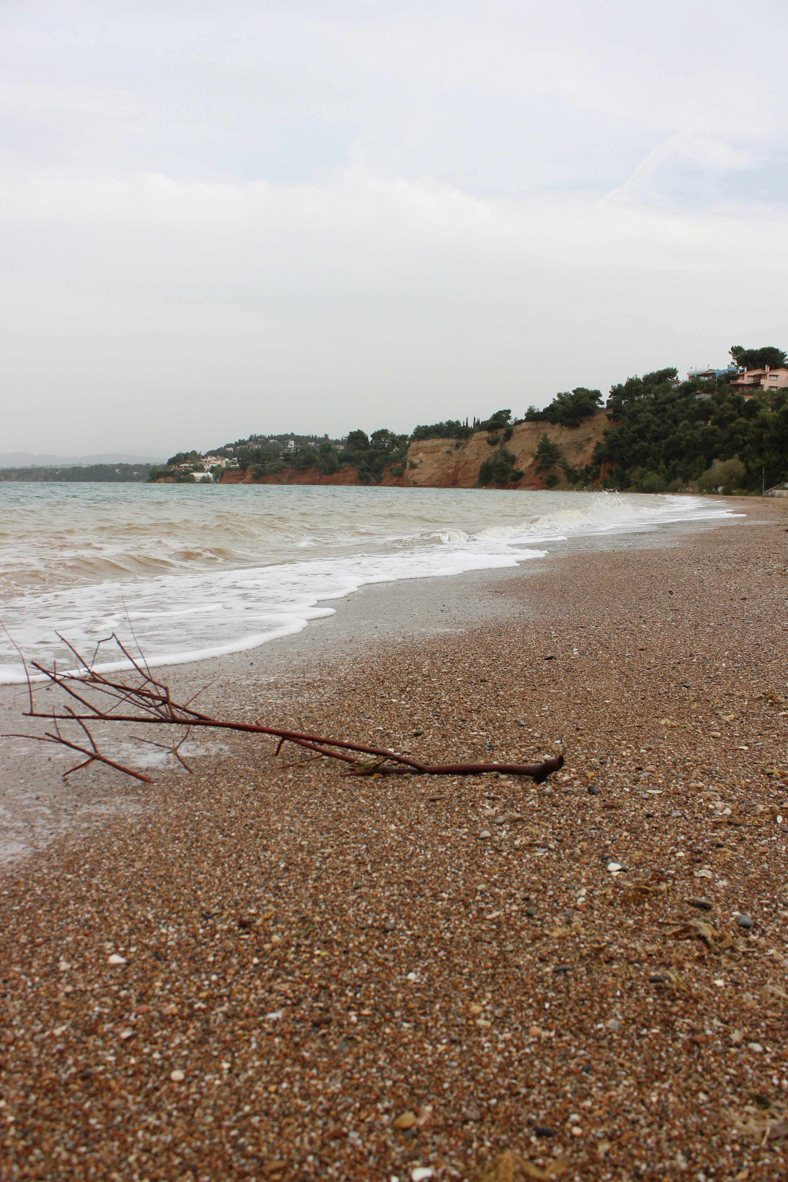A beach with a tree branch sticking out of the sand photo – Free Αυλίδα ...