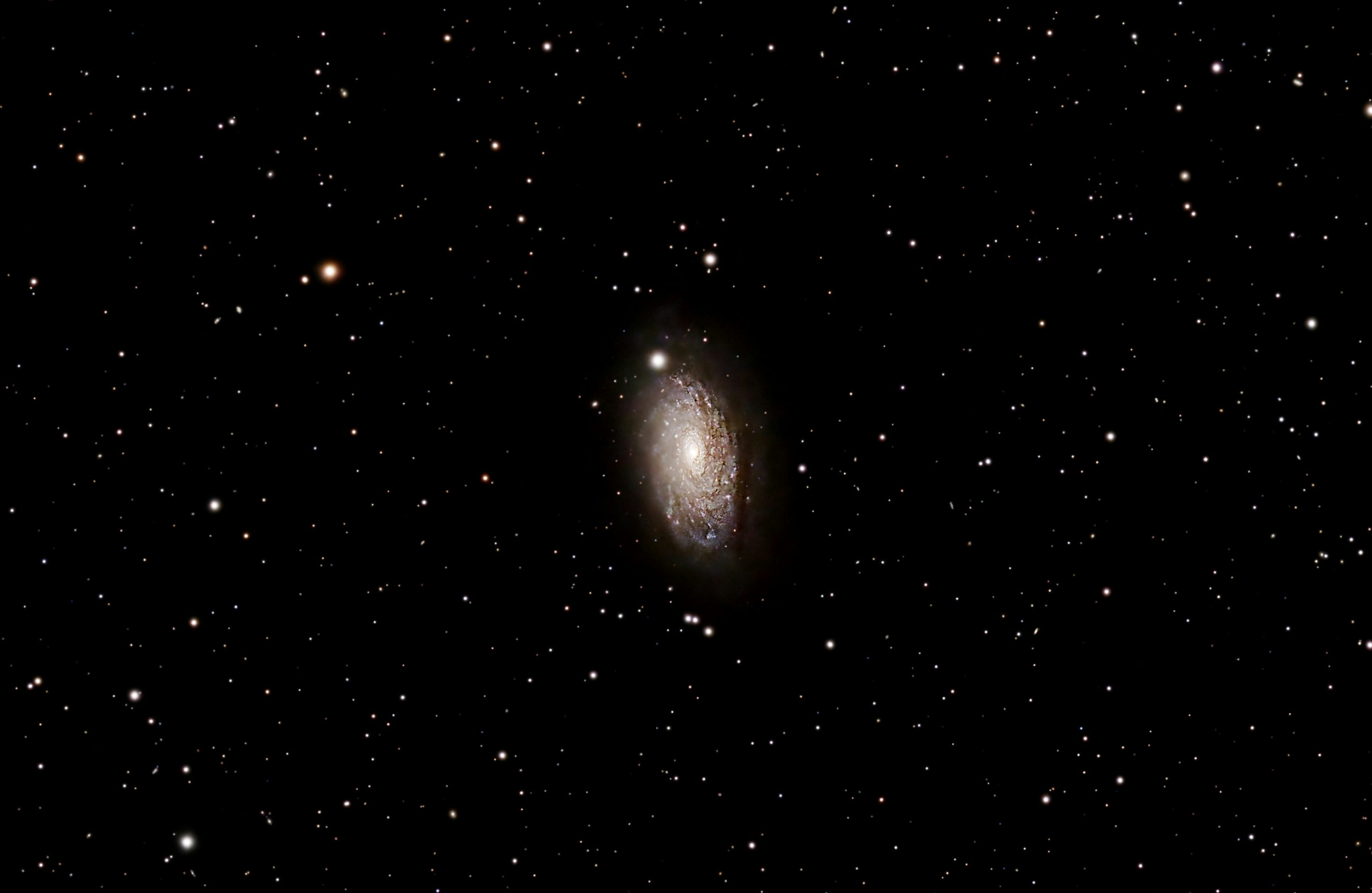 Steve Busch (@sdbusch77) | Unsplash Photo Community