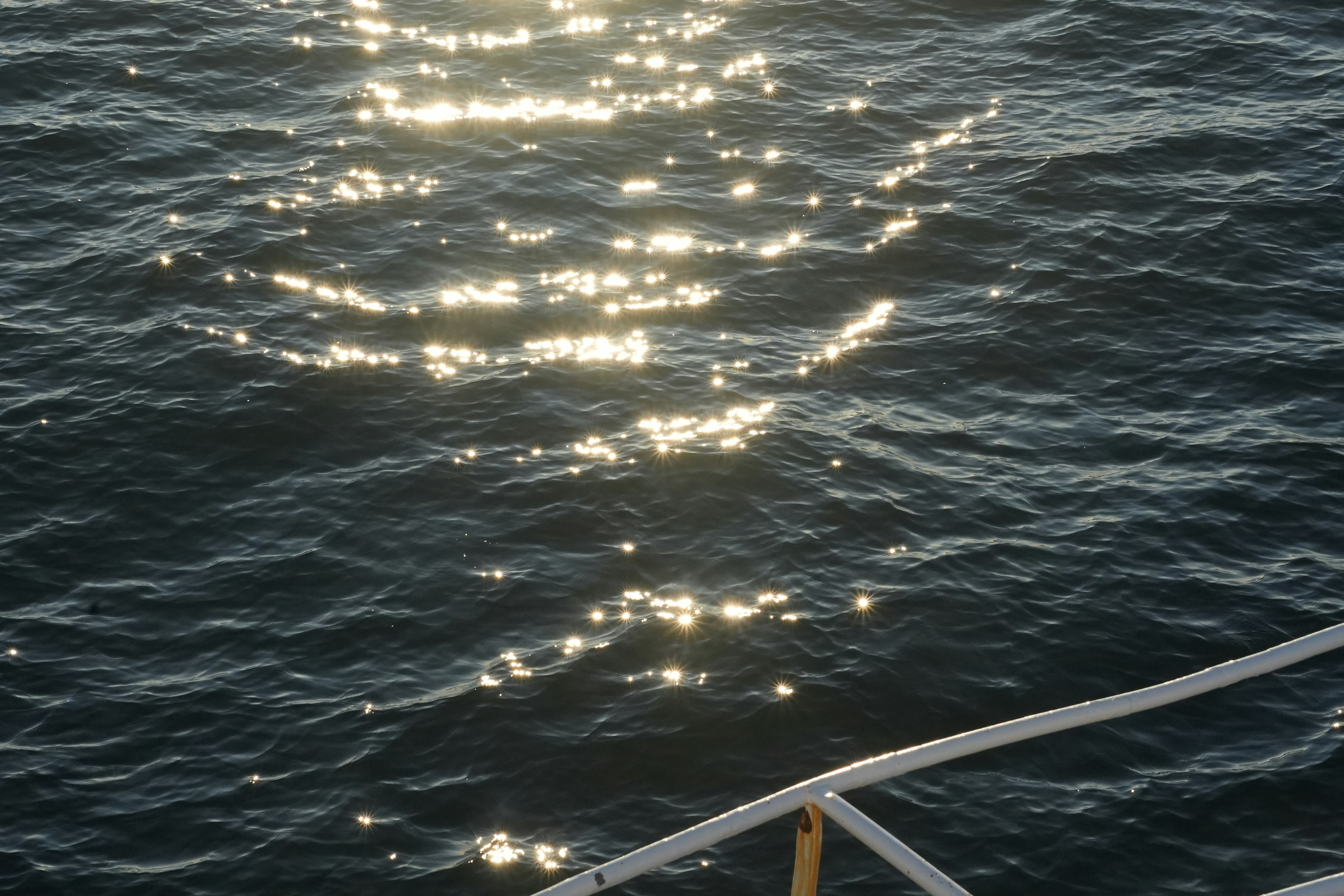 Photo by liang zi with Sony Alpha 7 IV