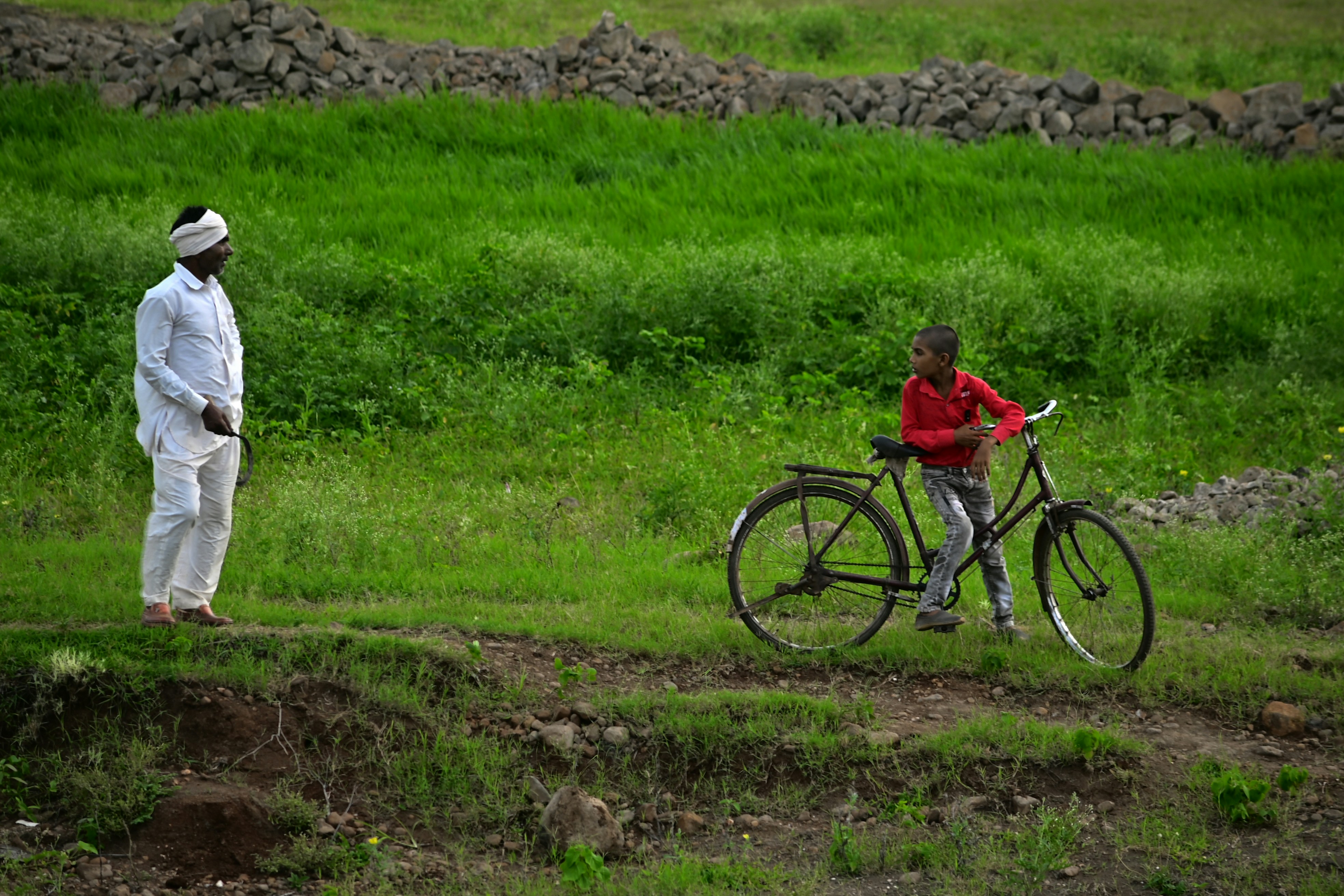 The Red Shirt and the Bicycle: A Quiet Moment in the Green Field
