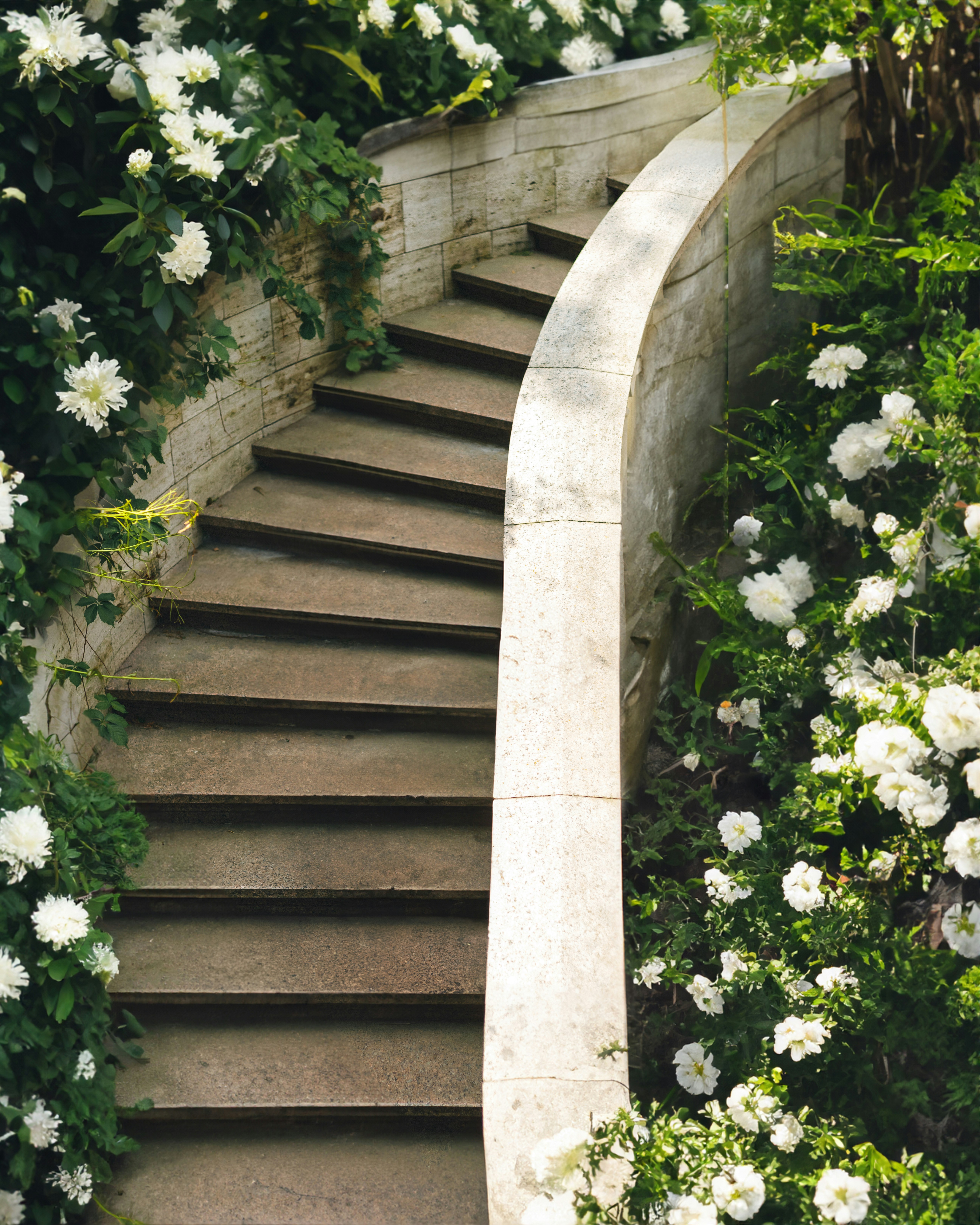 Stairs in the garden