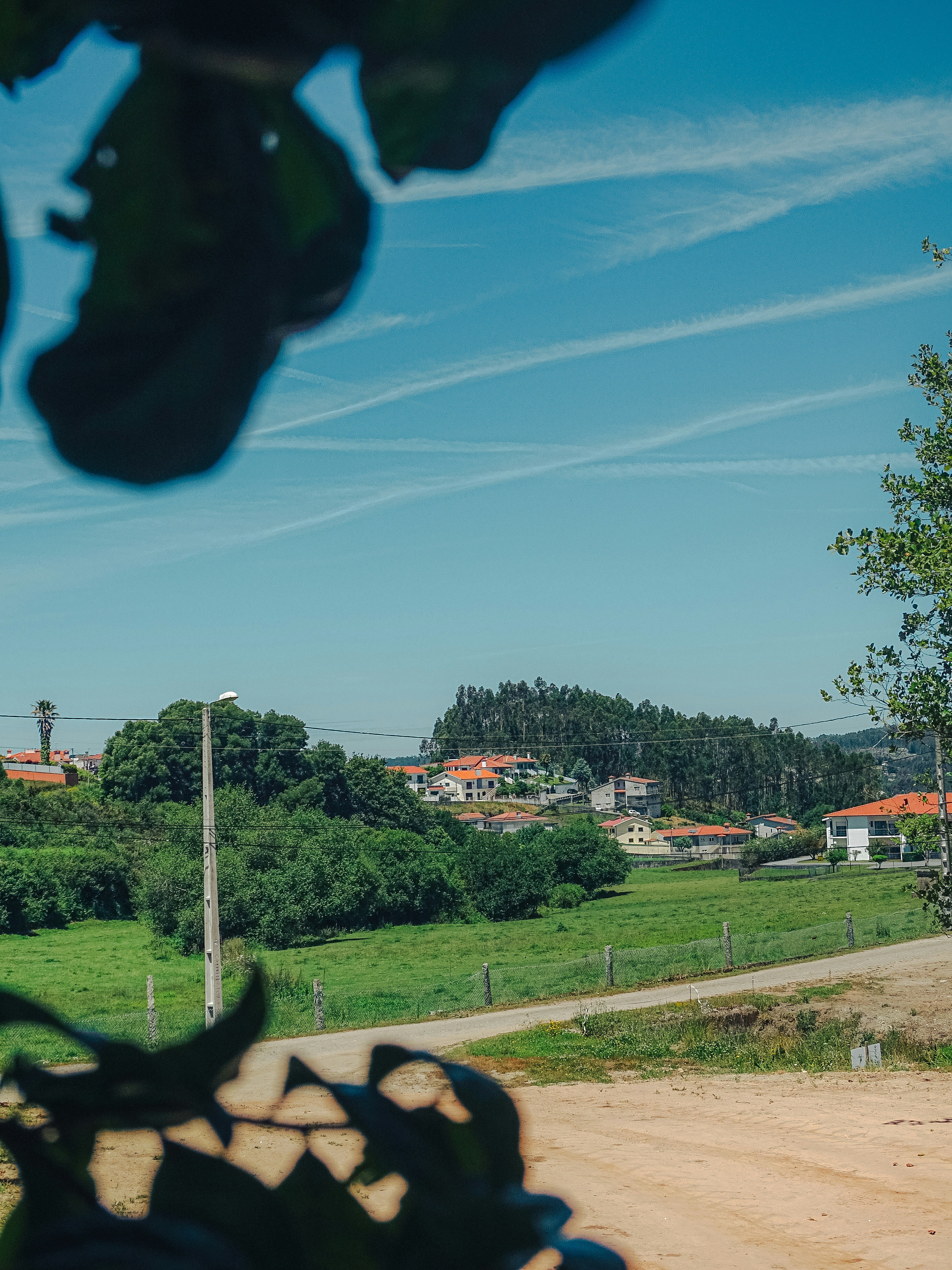 / Todos os direitos reservado a PHOZÉ - Fotografia e Video & José Manuel