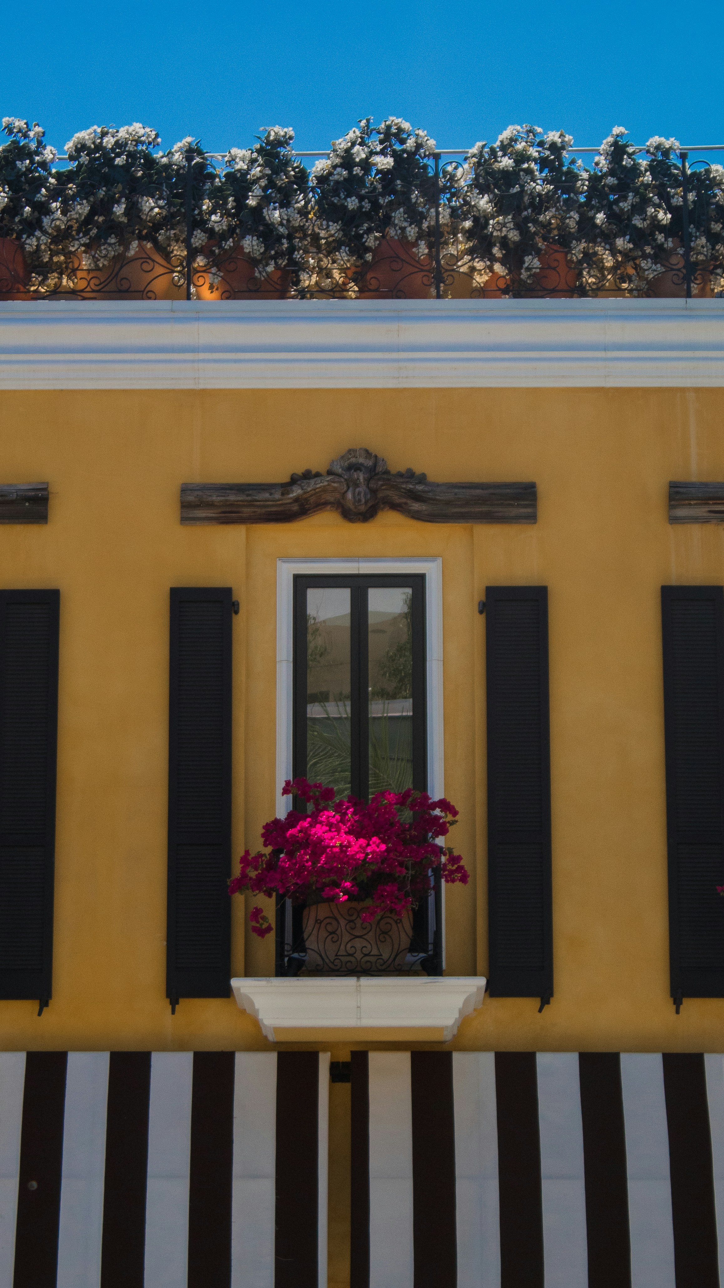 Bougainvillea on a Sunlit Yellow Facade: A Balcony's Floral Accent