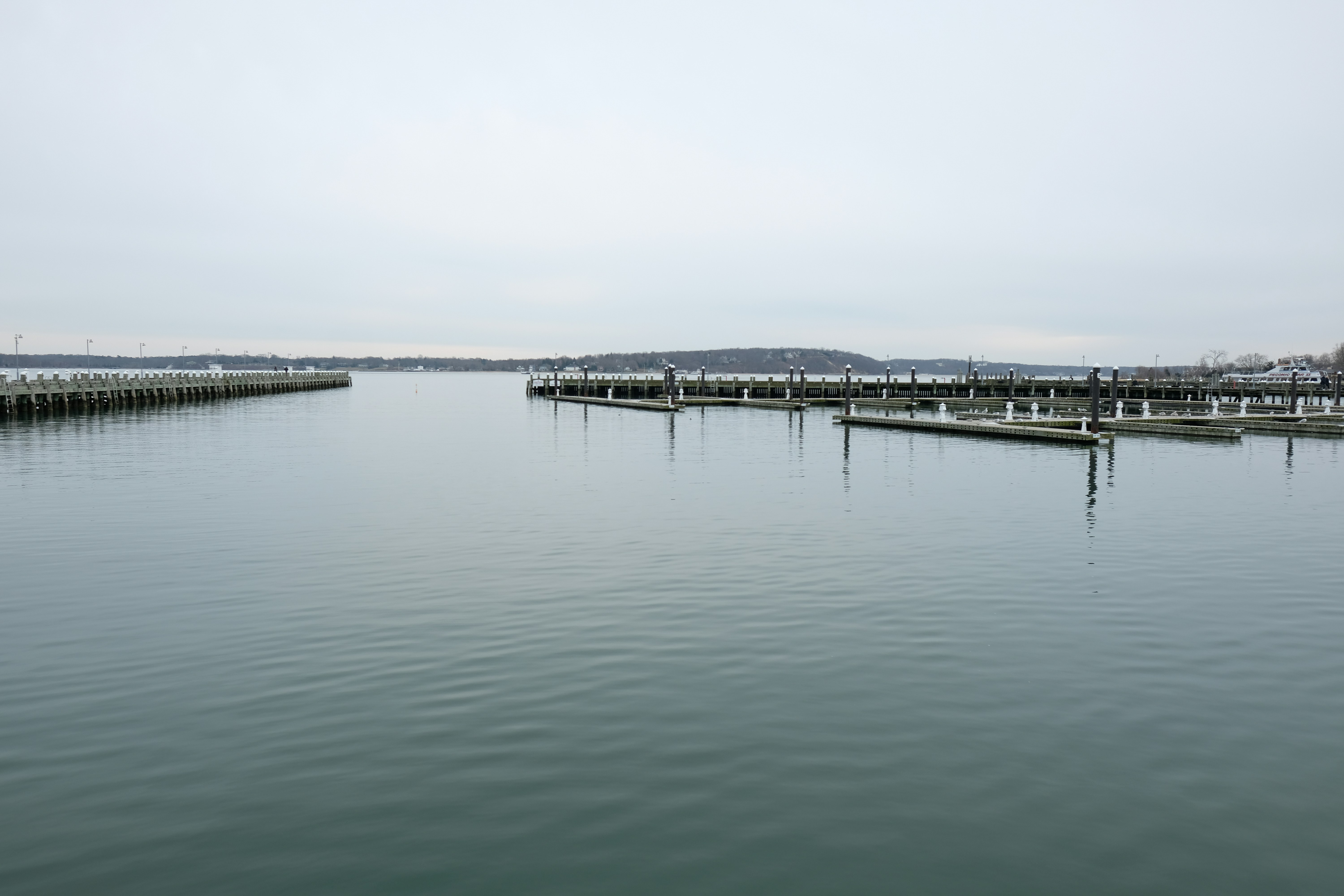 Empty docks stretch into calm water under an overcast sky, reflecting muted tones. A distant shoreline with trees and buildings adds depth to the serene scene.