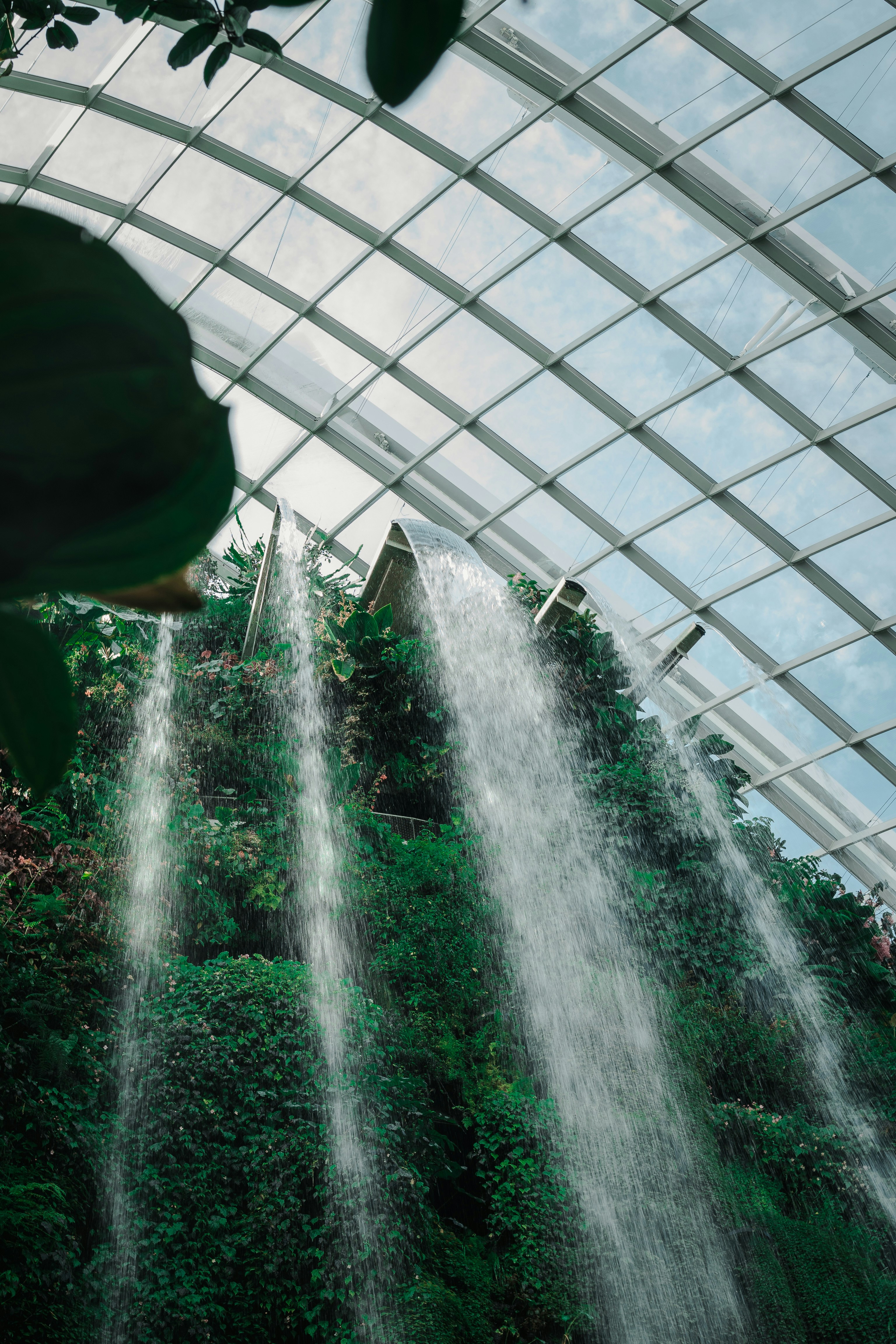 Cameorn Steele (@cameronsteele) | Communauté photos Unsplash